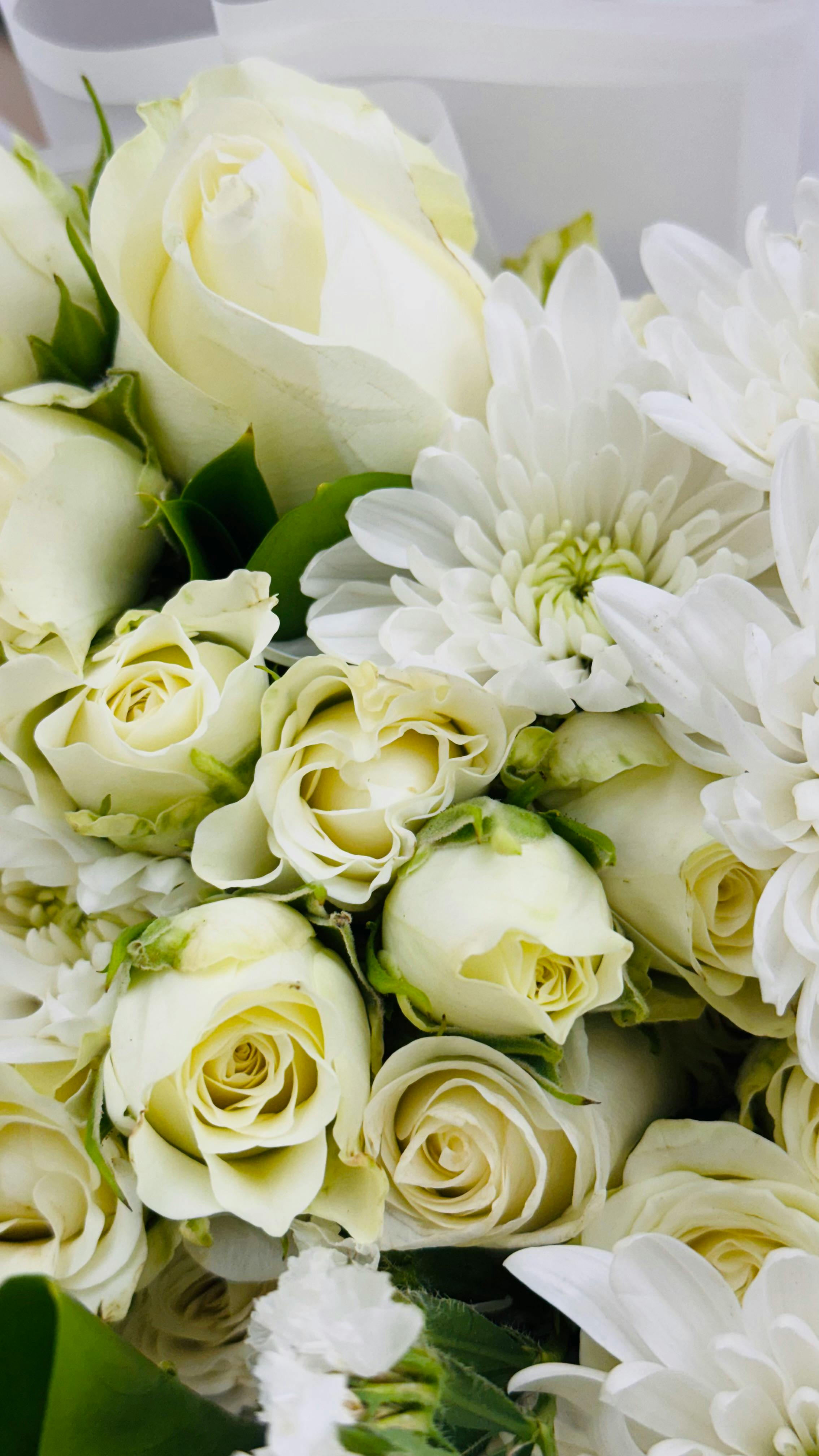 Pastel Bloom Photos, Download The BEST Free Pastel Bloom Stock Photos ...