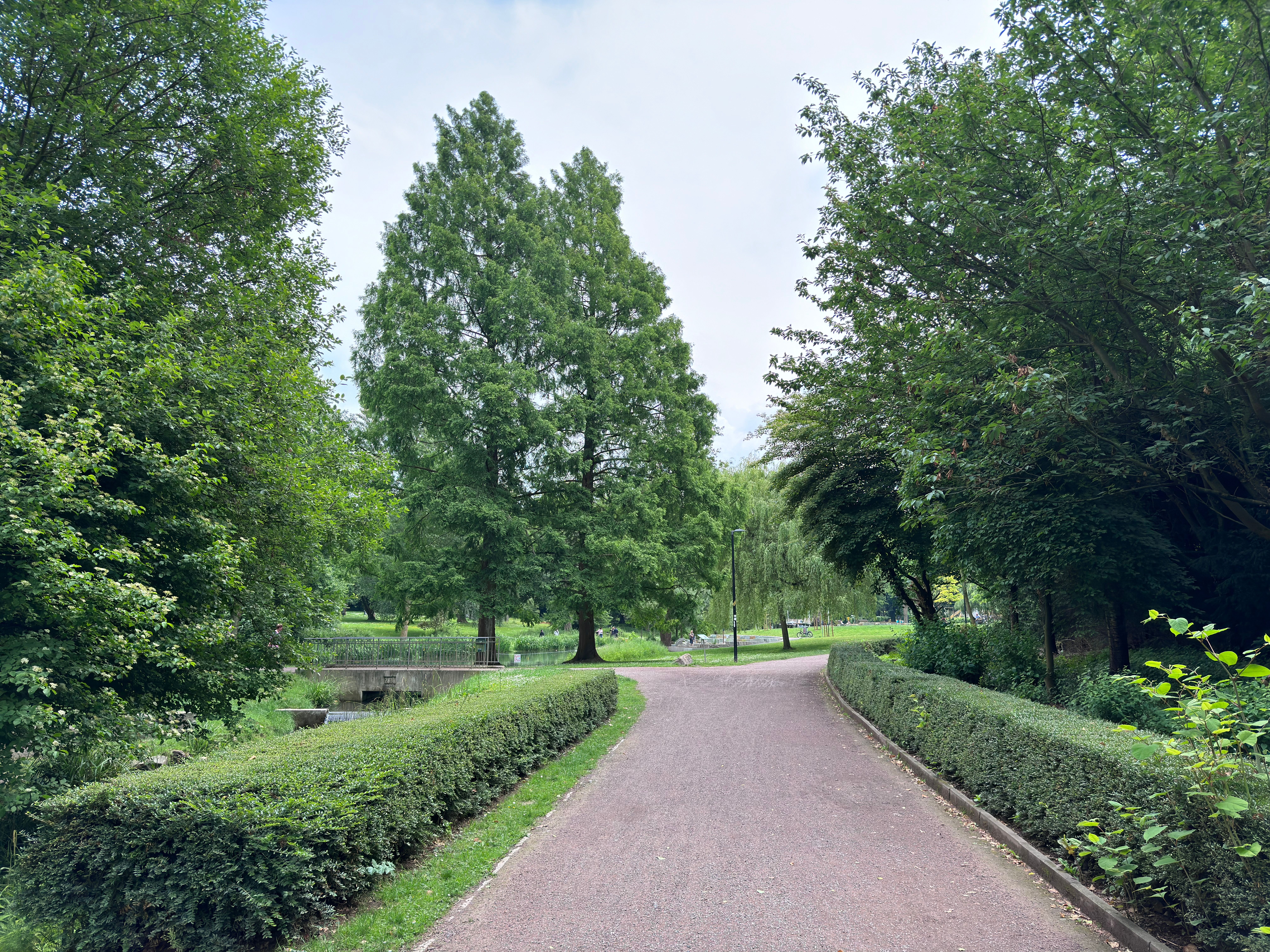Scenic Park Pathway Surrounded by Lush Greenery · Free Stock Photo