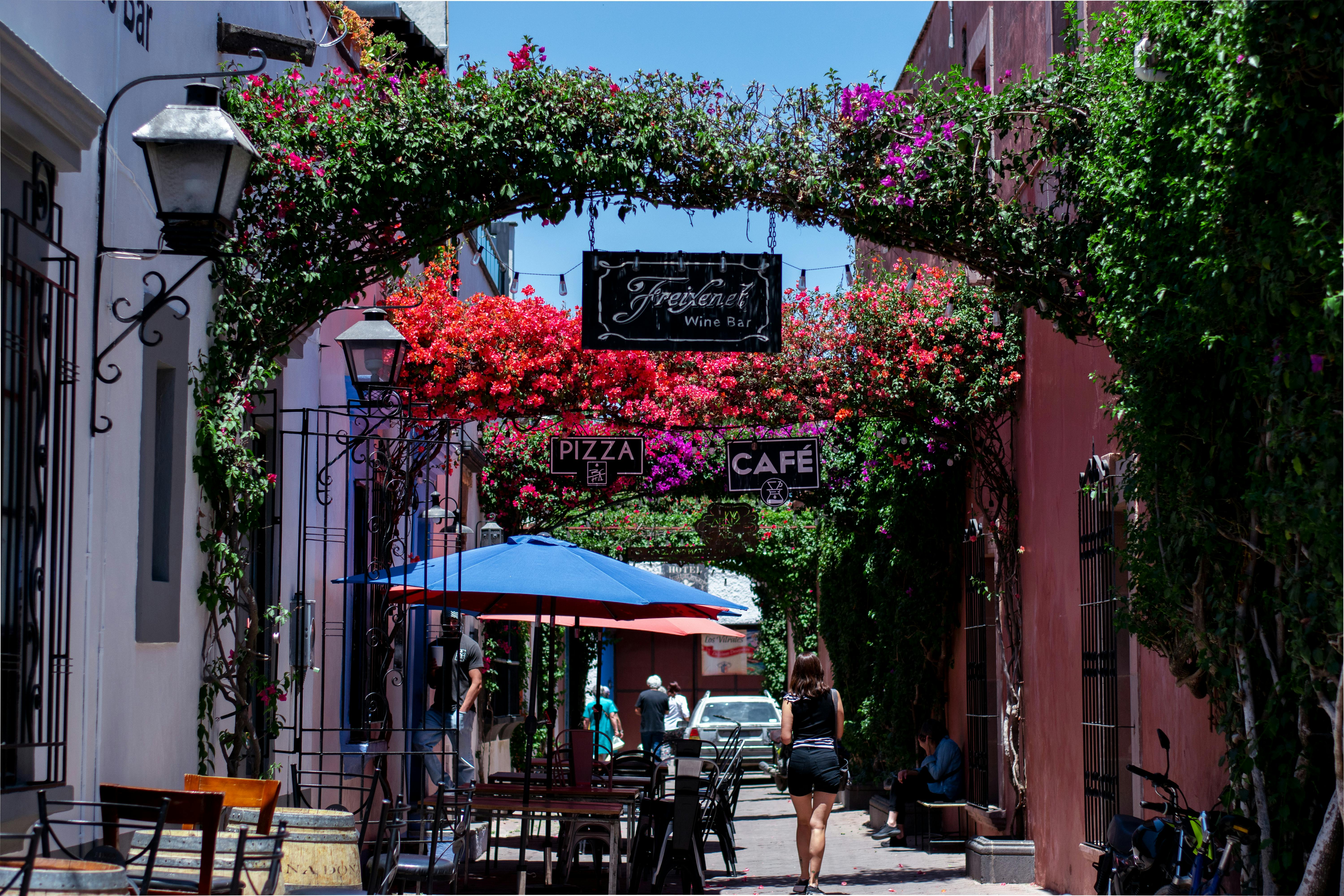 Flower Arch Photos, Download The BEST Free Flower Arch Stock Photos ...