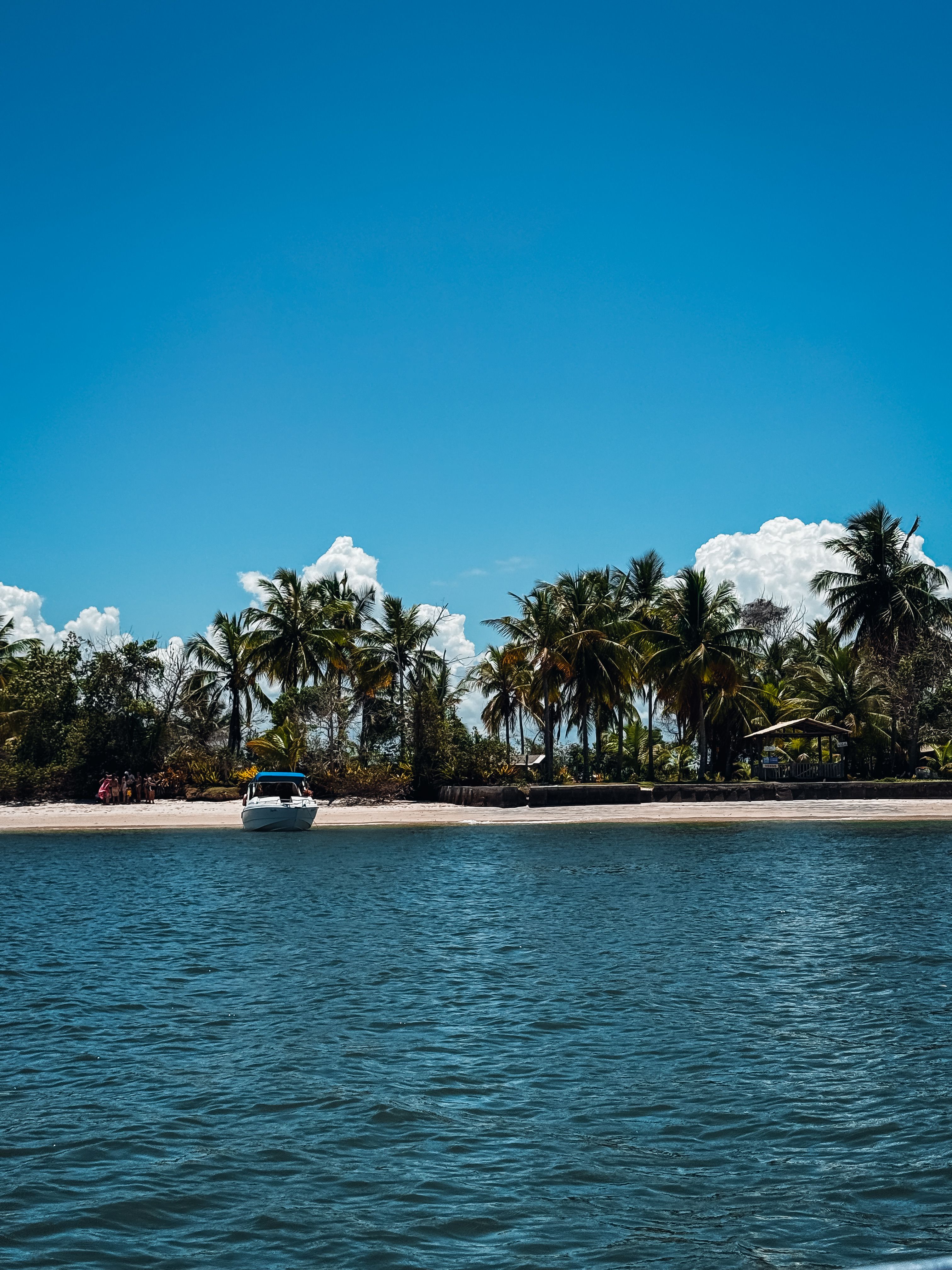 Tropical Beach with Palm Trees and Boat Scene · Free Stock Photo