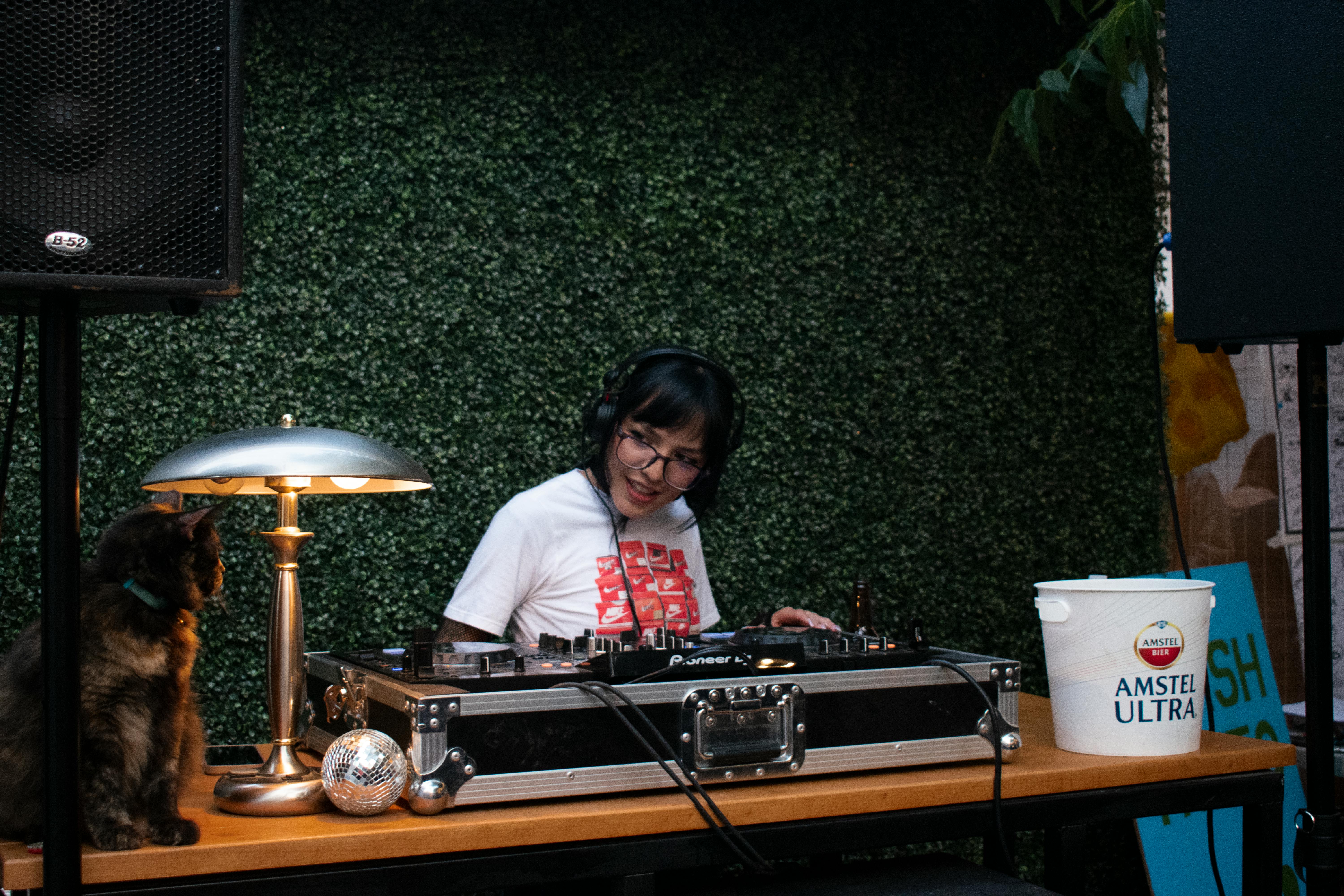 Rottweiler Mixer Photos, Download The BEST Free Rottweiler Mixer Stock ...