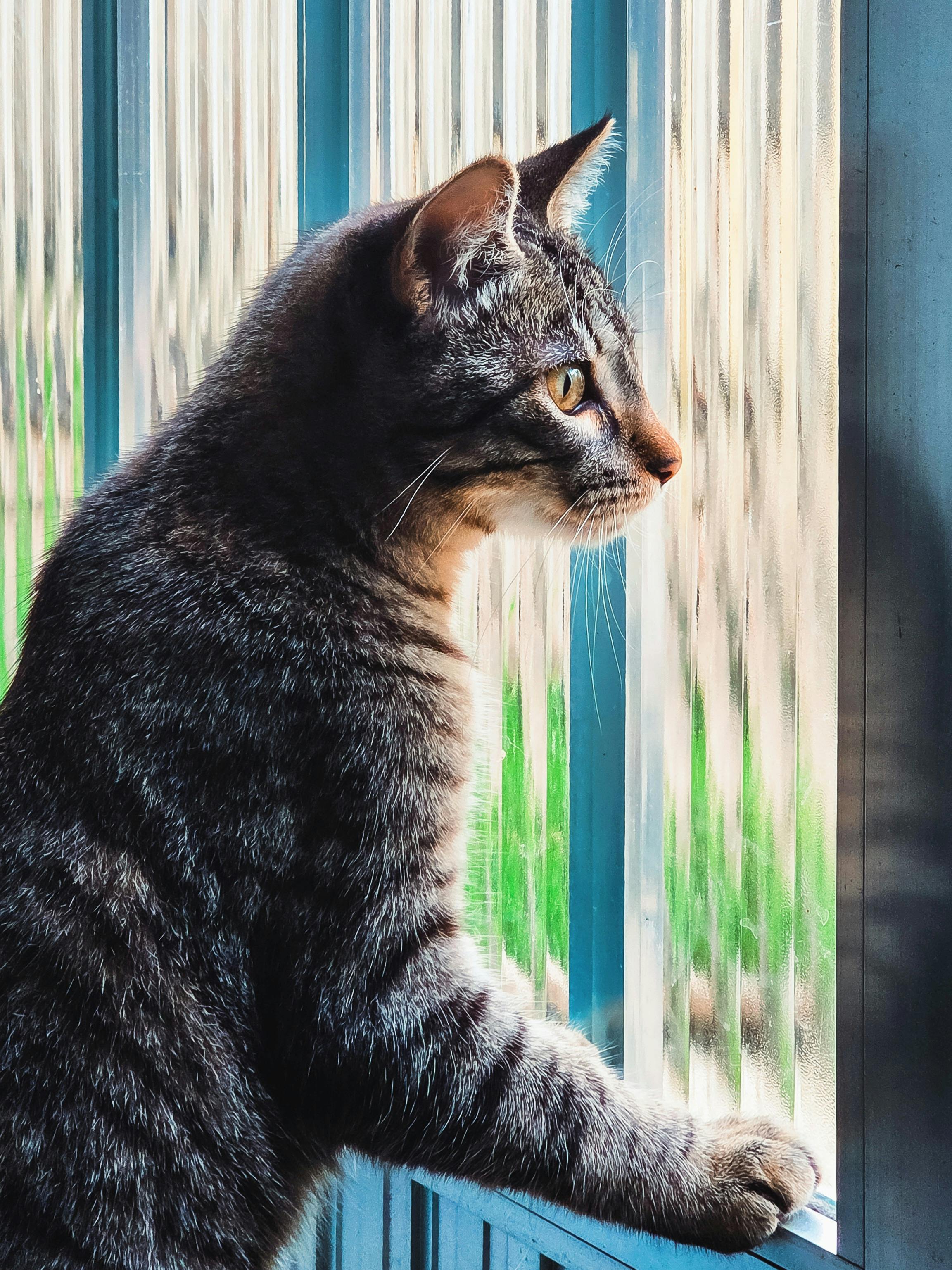 Spotify Profile Photos, Download The BEST Free Spotify Profile Stock ...