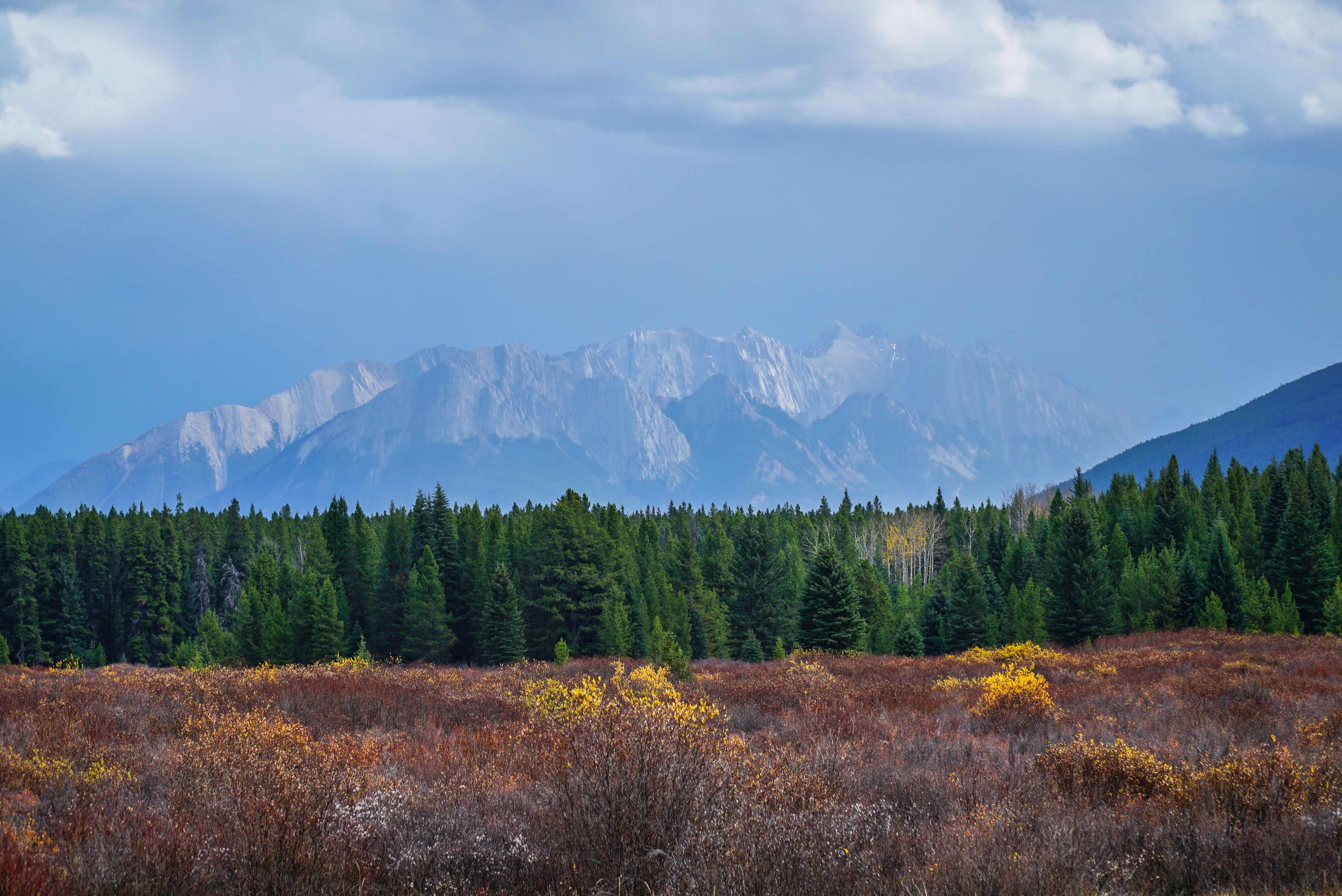 Stunning Autumn Scenery in Banff National Park · Free Stock Photo