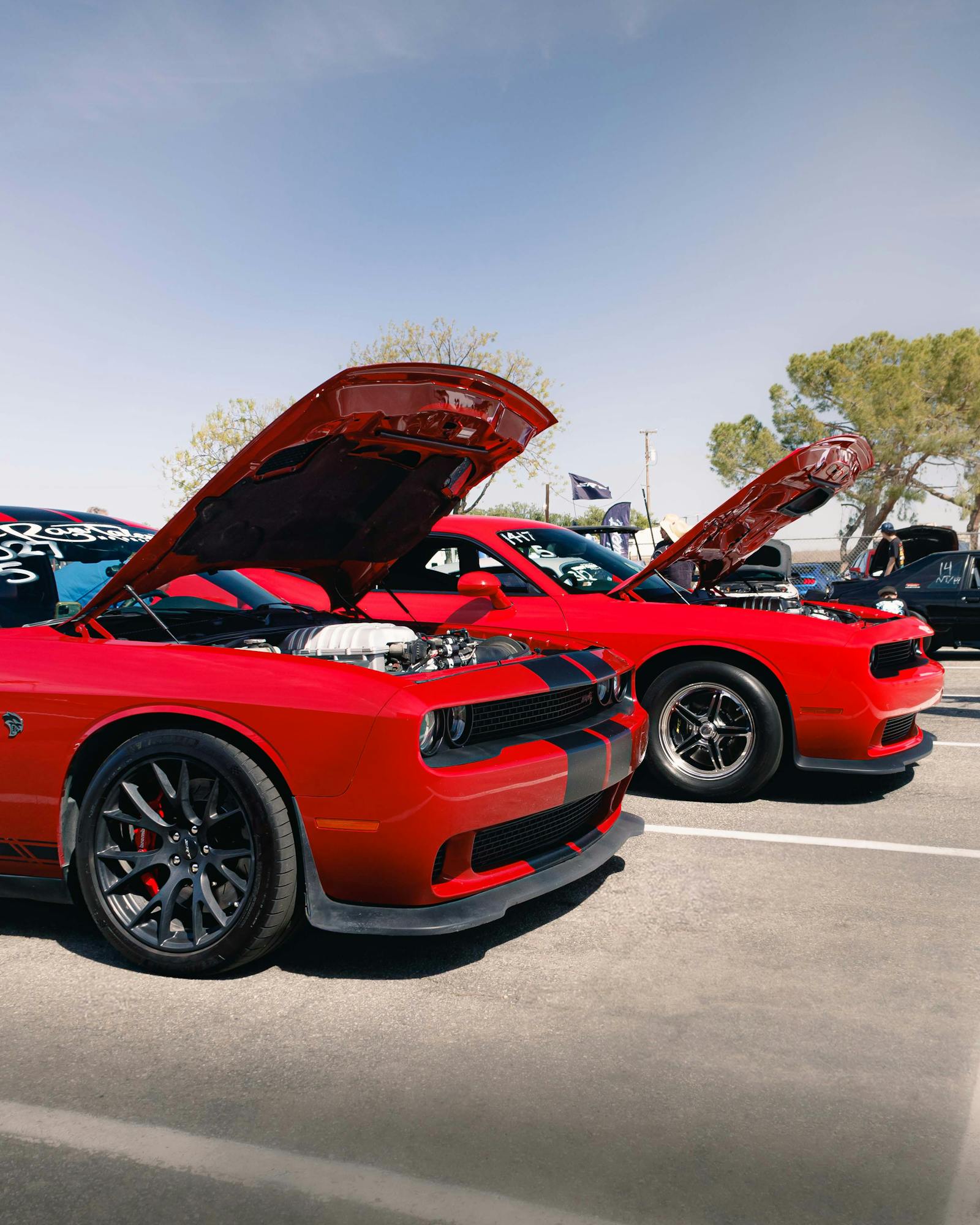 Dodge Challenger Wallpapers Photos, Download The BEST Free Dodge ...