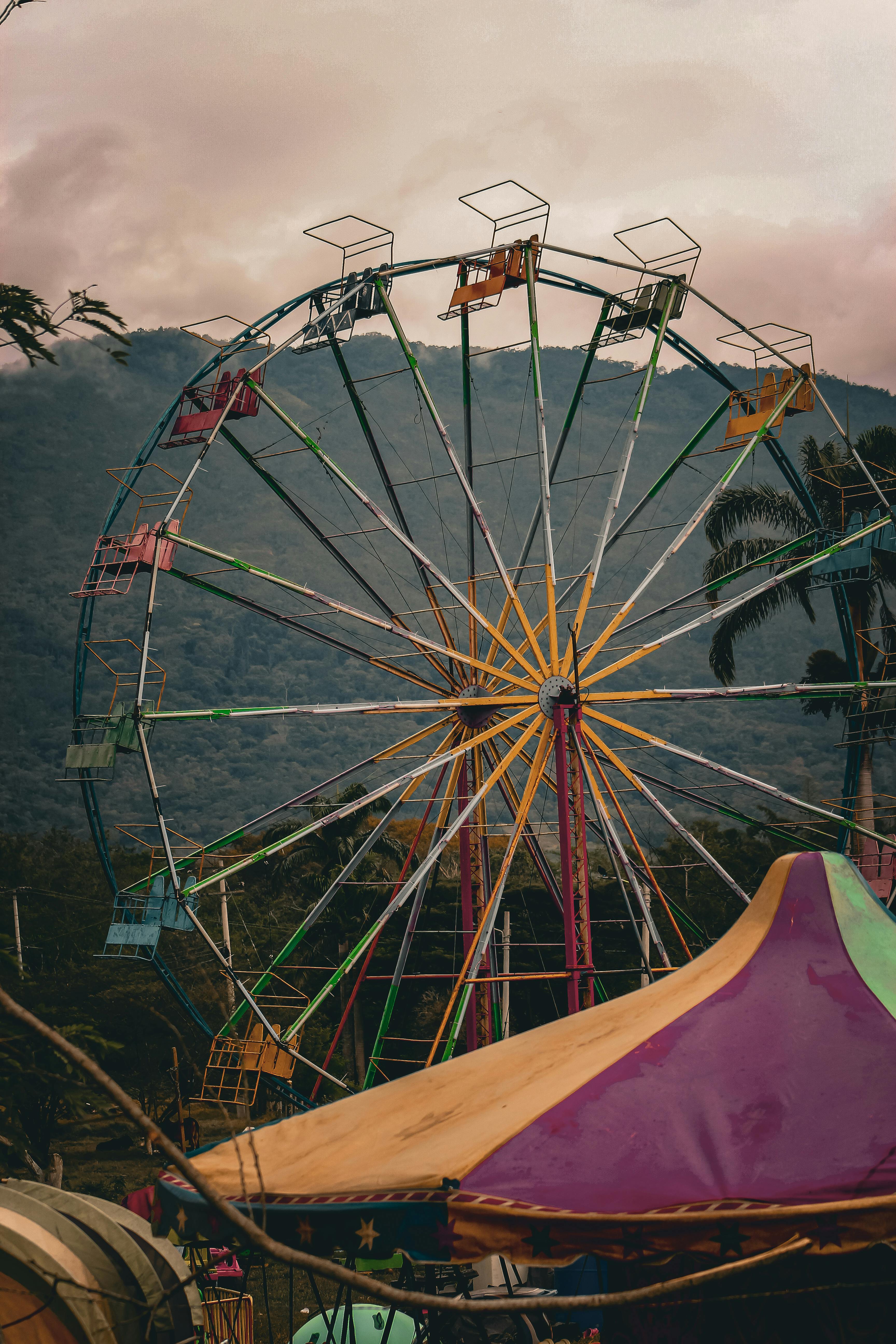 Tall Kit Photos, Download The BEST Free Tall Kit Stock Photos & HD Images