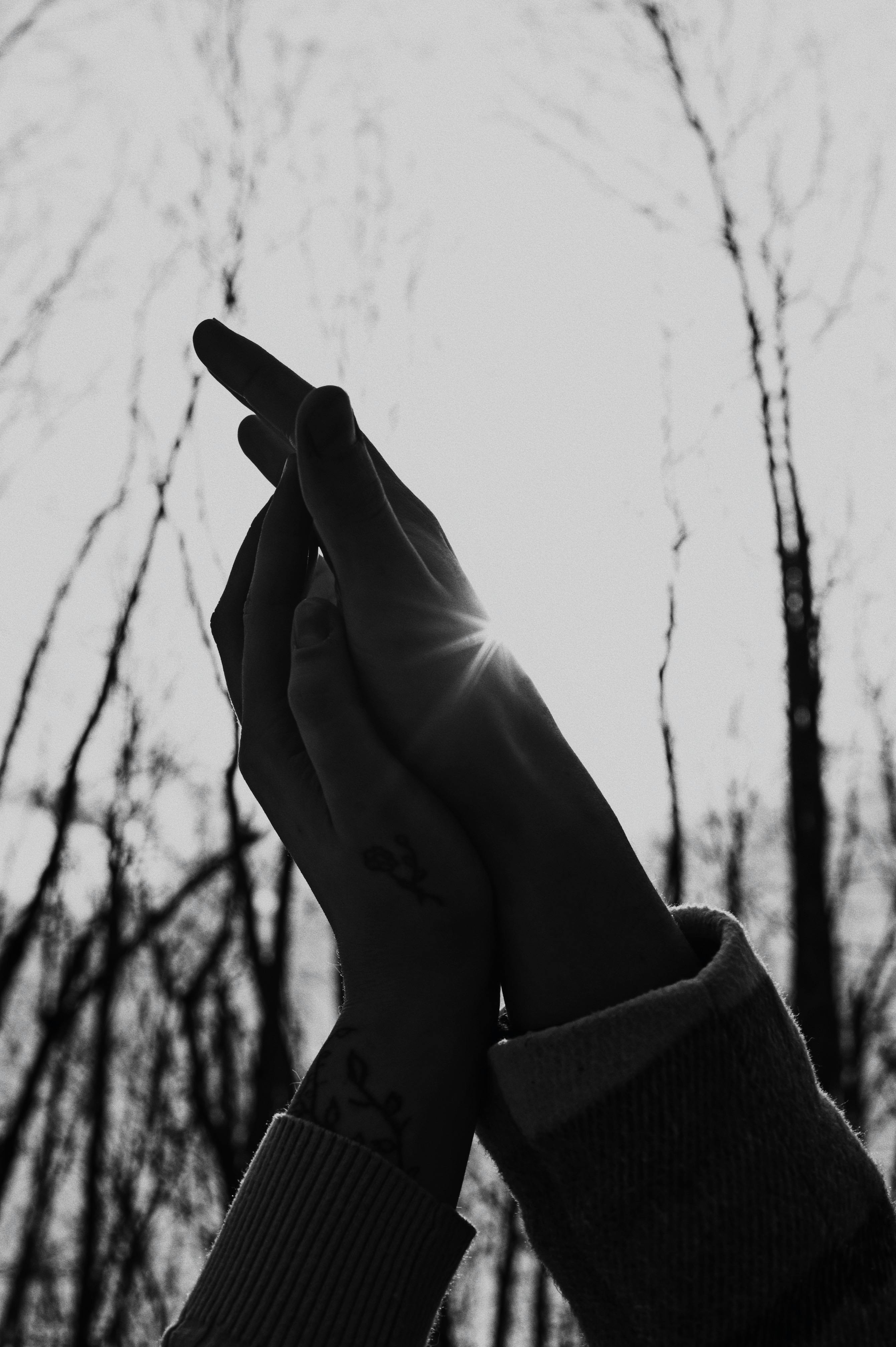 Arms Photos, Download The BEST Free Arms Stock Photos & HD Images