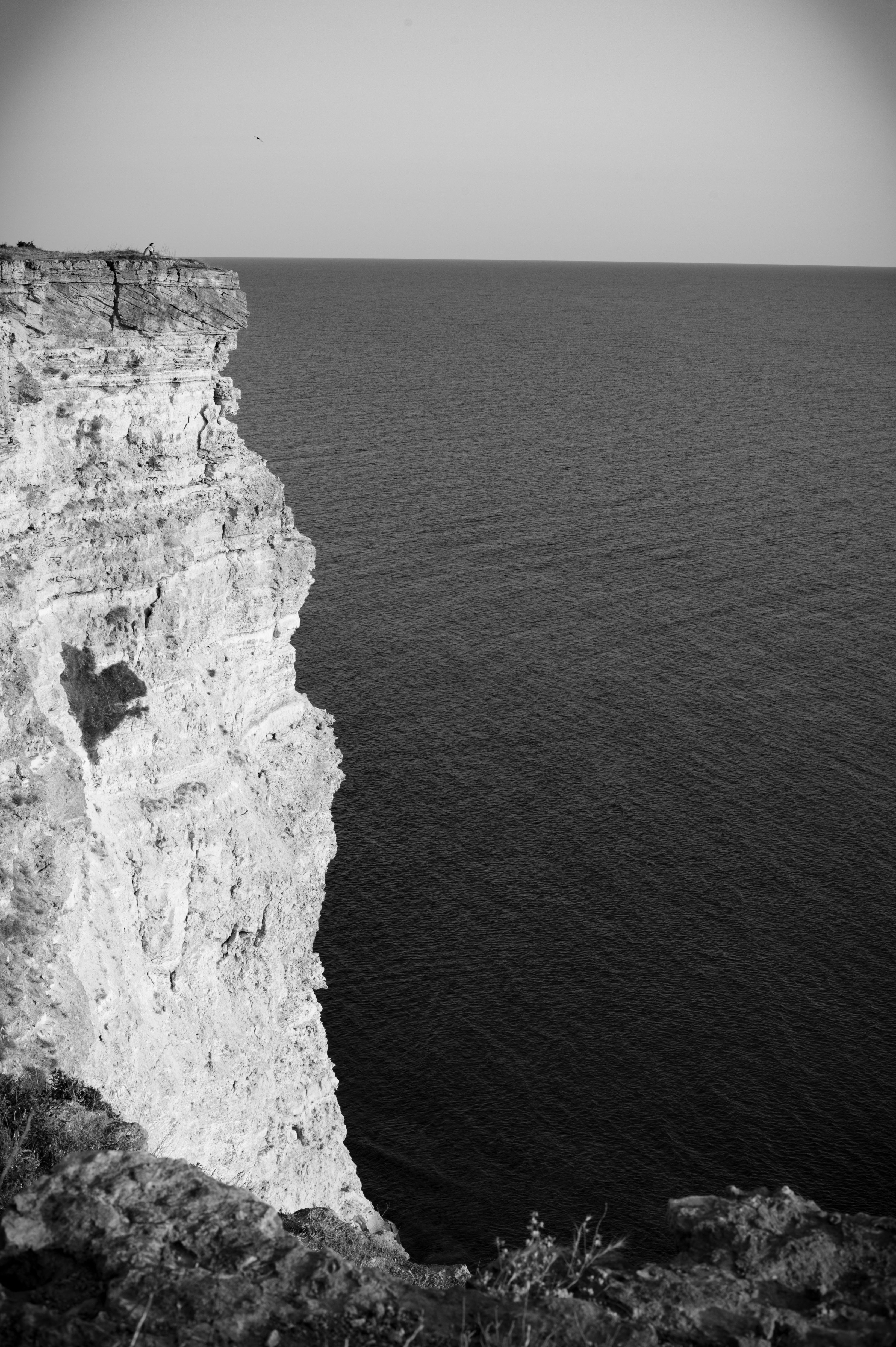 Dramatic Black and White Cliffside Overlooking the Sea · Free Stock Photo