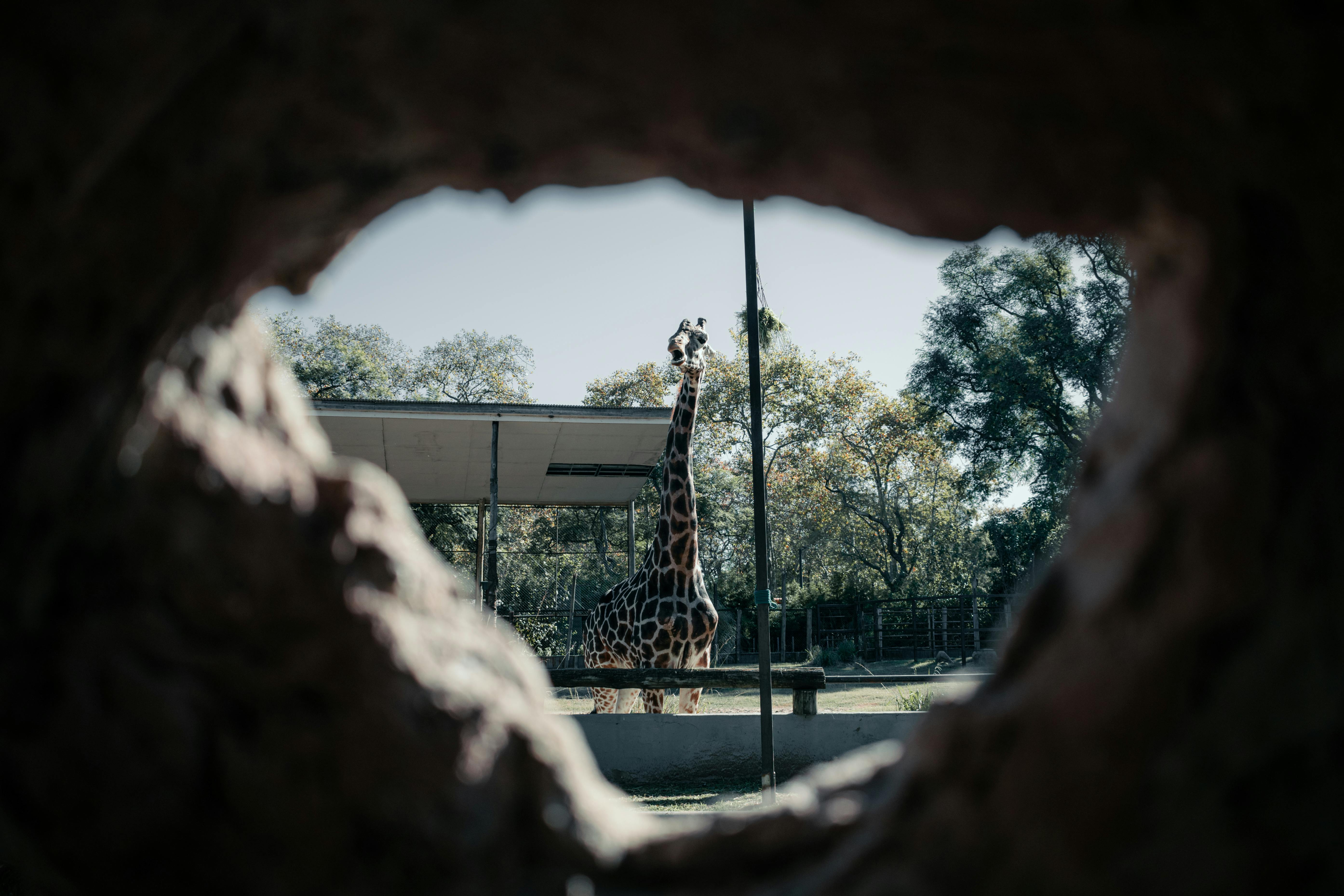 Observation Photos, Download The BEST Free Observation Stock Photos ...