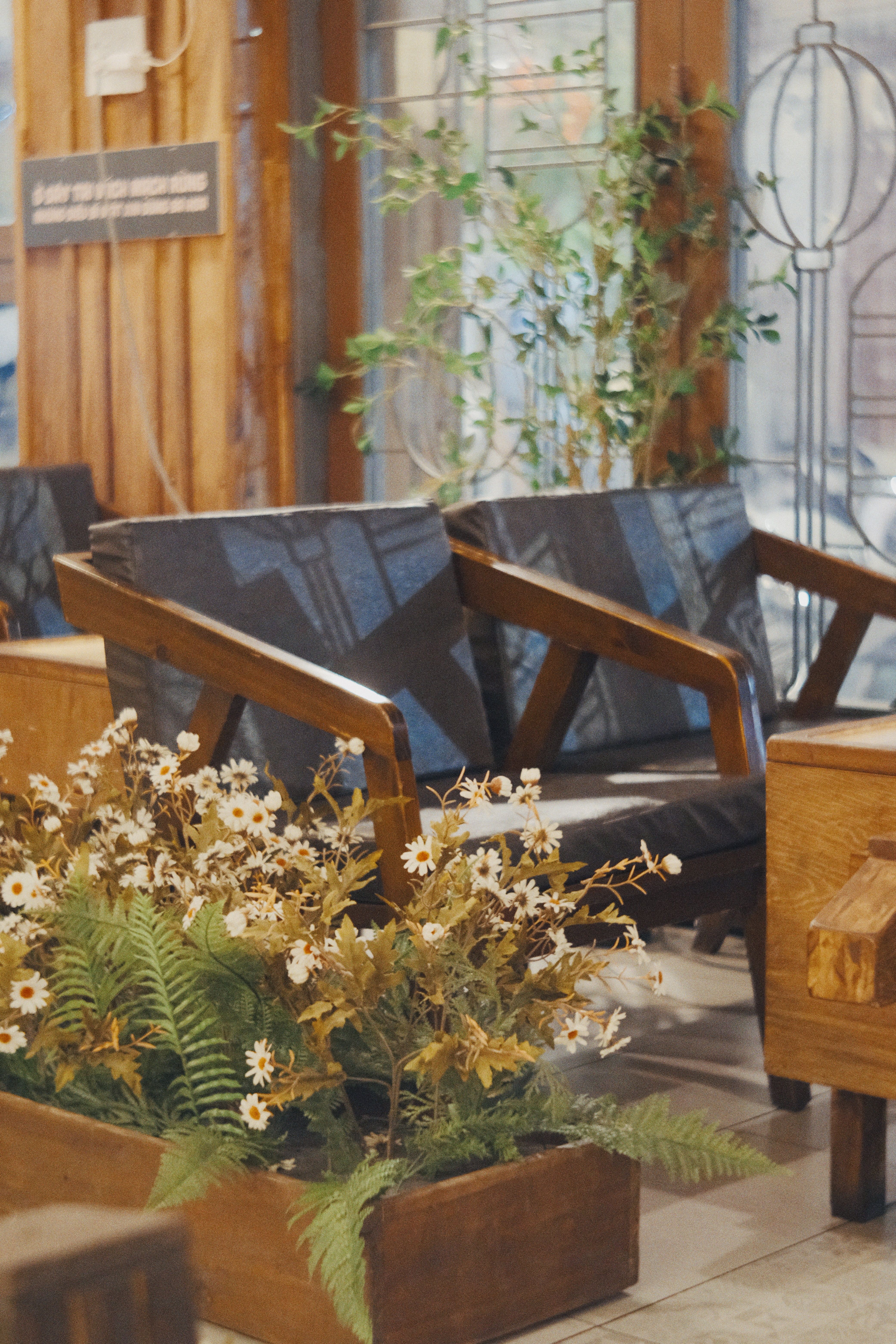 Cozy Indoor Seating with Natural Decor · Free Stock Photo