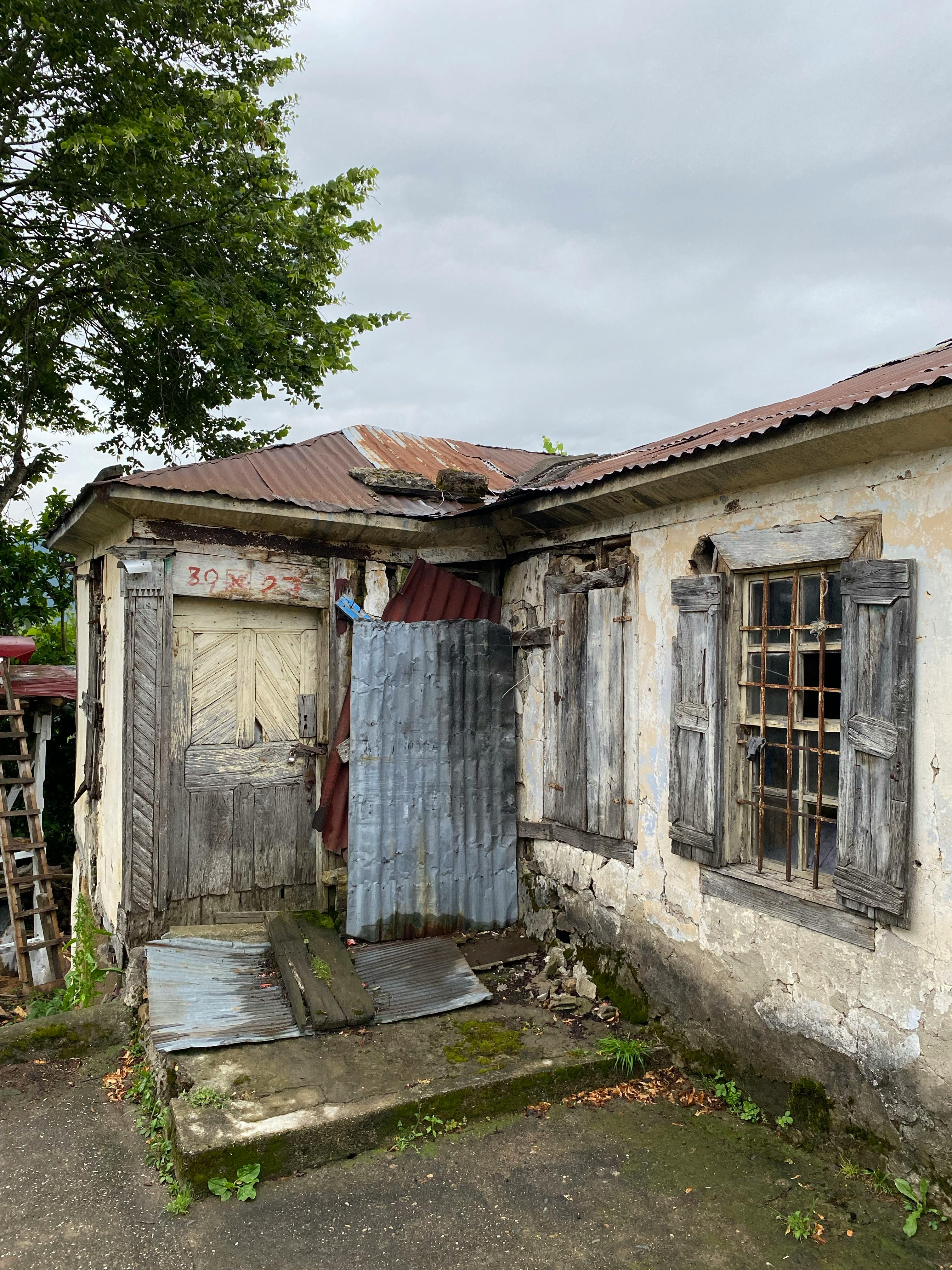 Old Treee Photos, Download The BEST Free Old Treee Stock Photos & HD Images