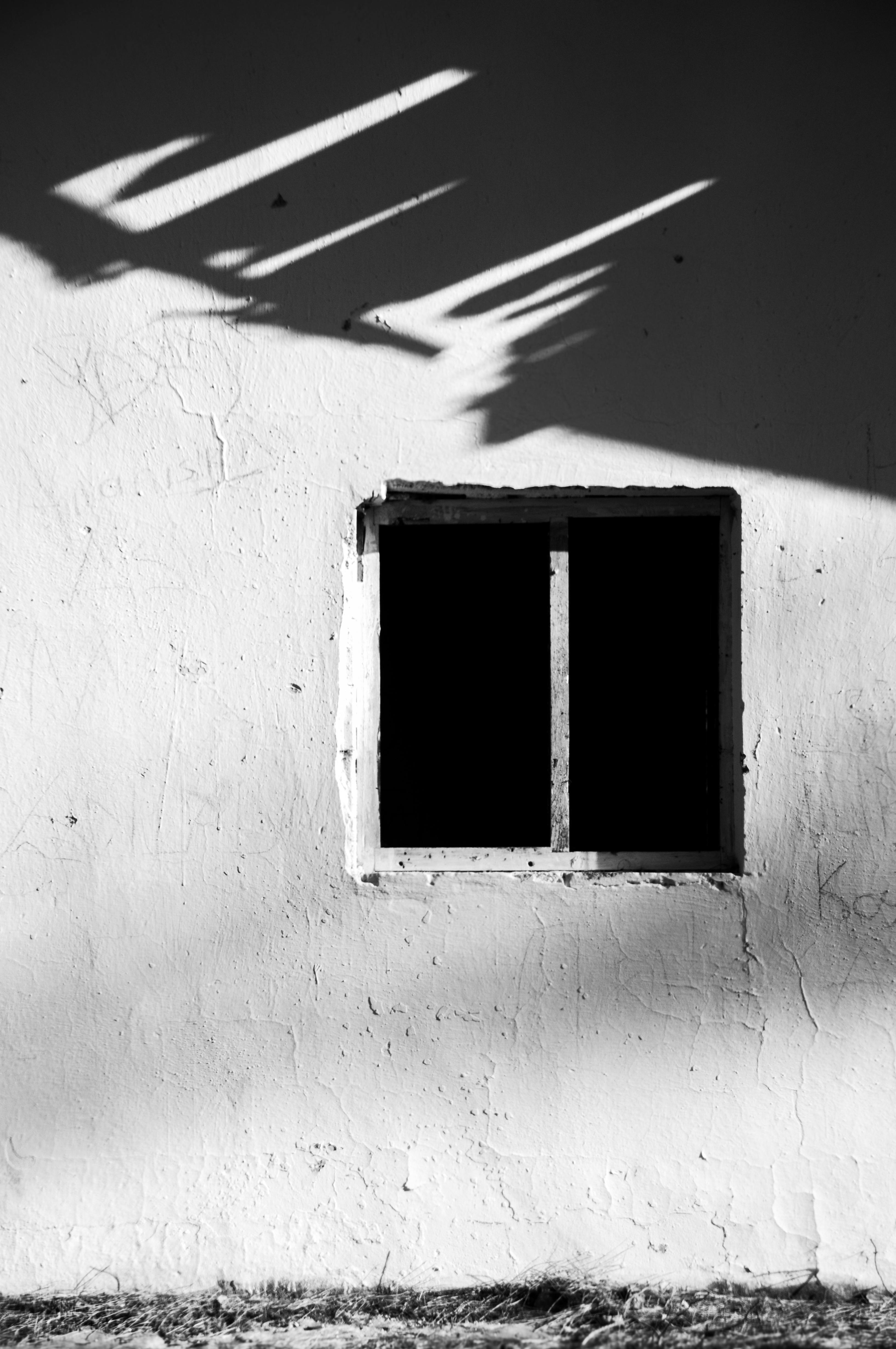 Dark Pfp Photos, Download The BEST Free Dark Pfp Stock Photos & HD Images