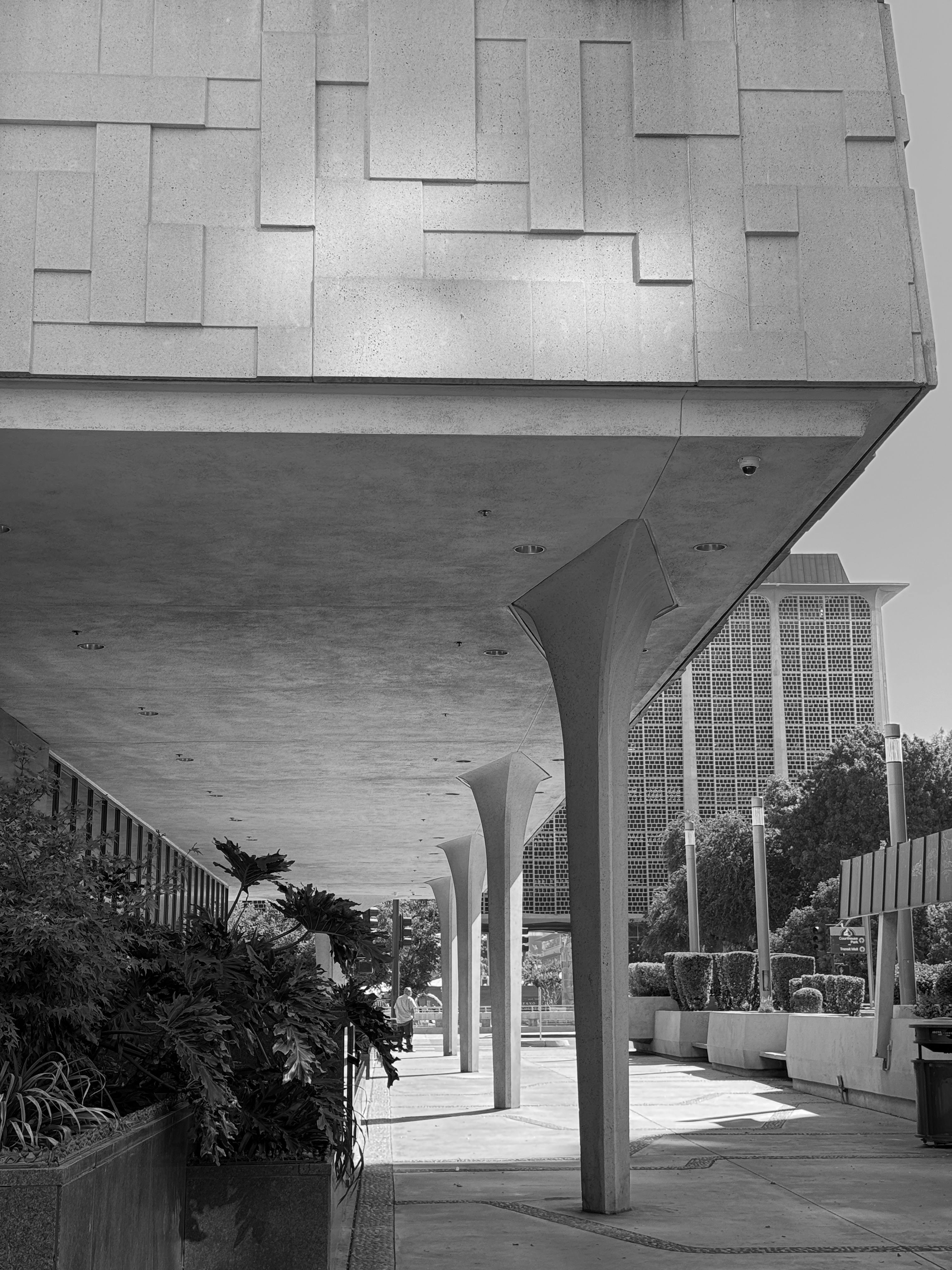 Joe Howell - Fotoğrafçılık