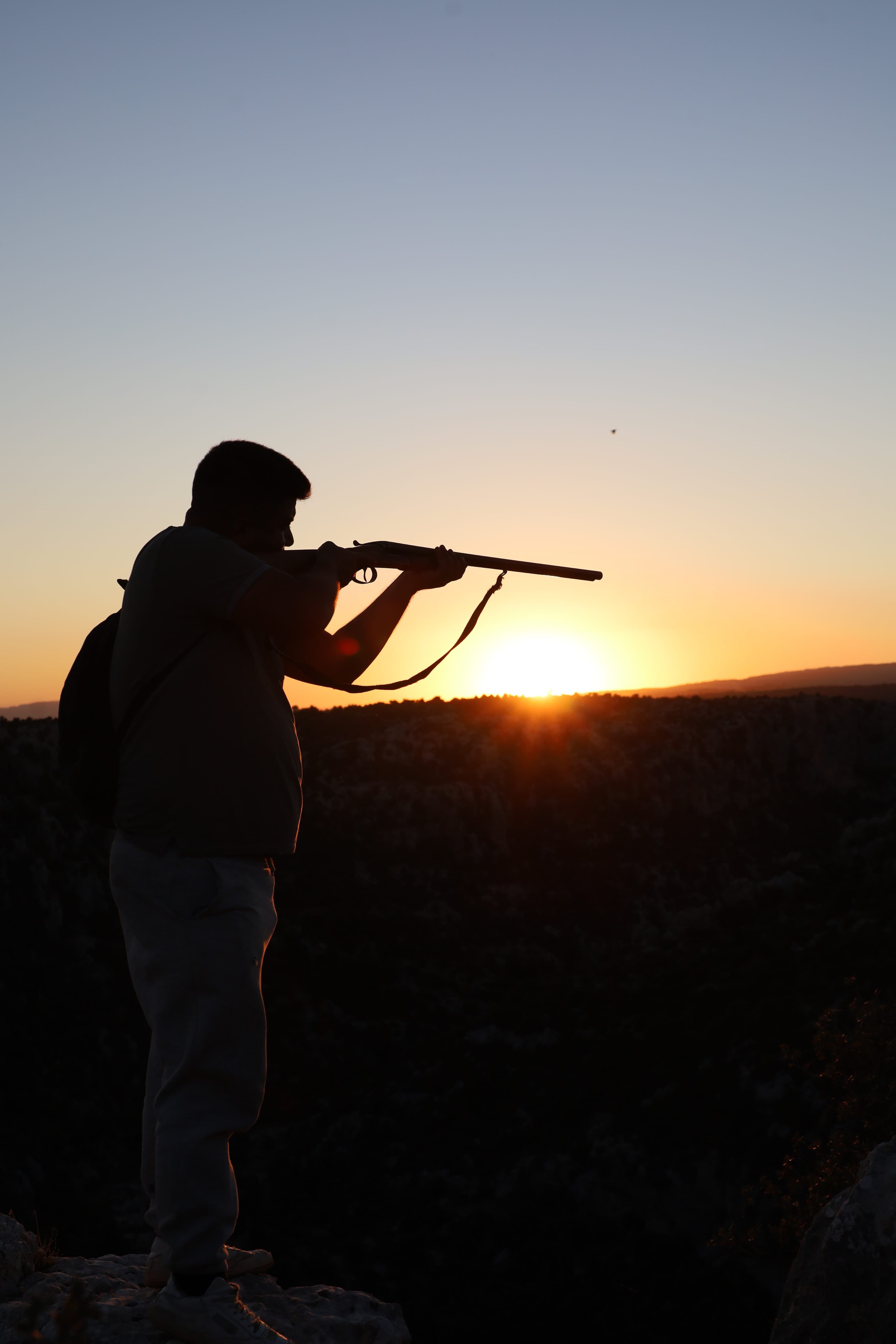 Long Shot Photos, Download The BEST Free Long Shot Stock Photos & HD Images