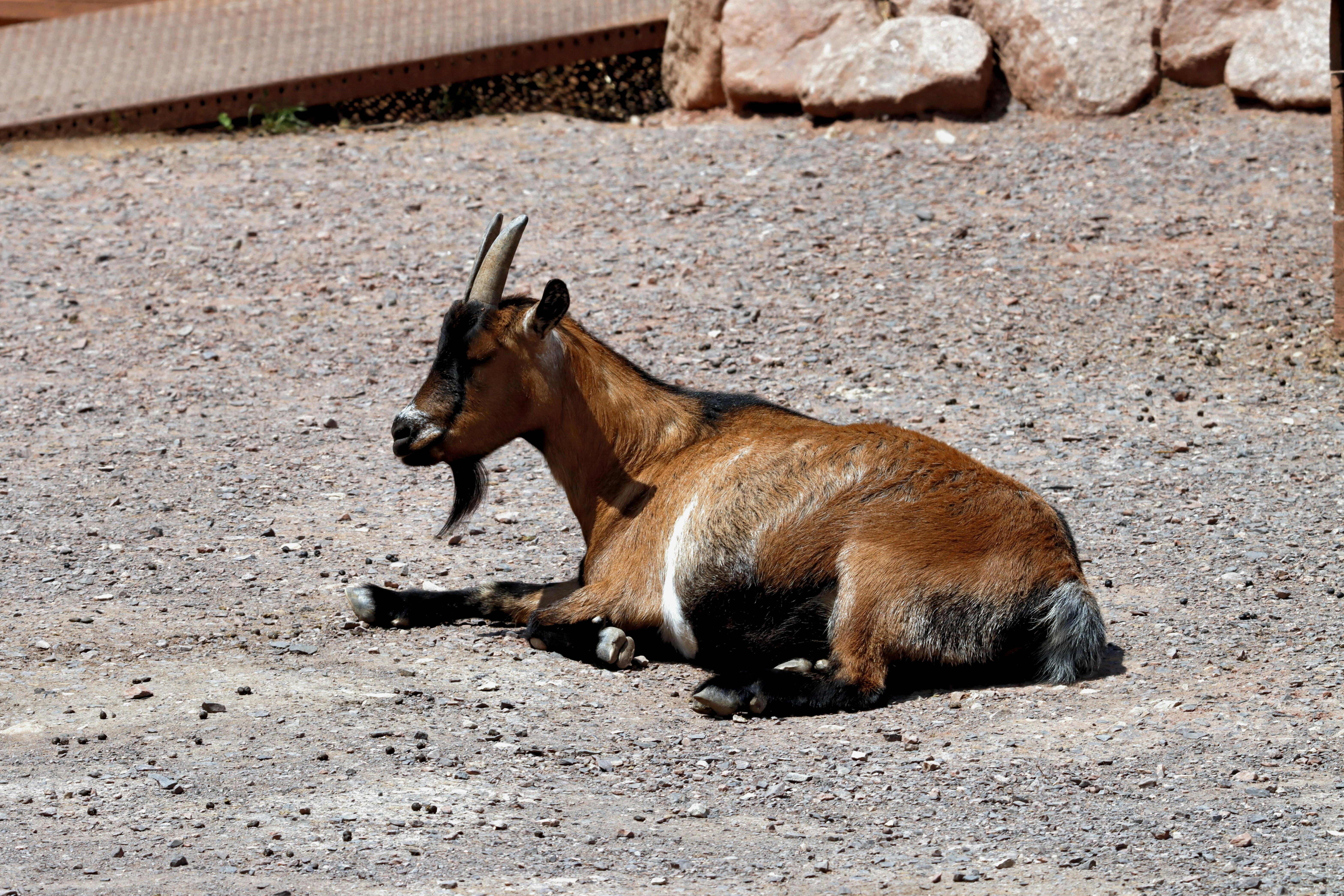 Bask Ever Photos, Download The BEST Free Bask Ever Stock Photos & HD Images