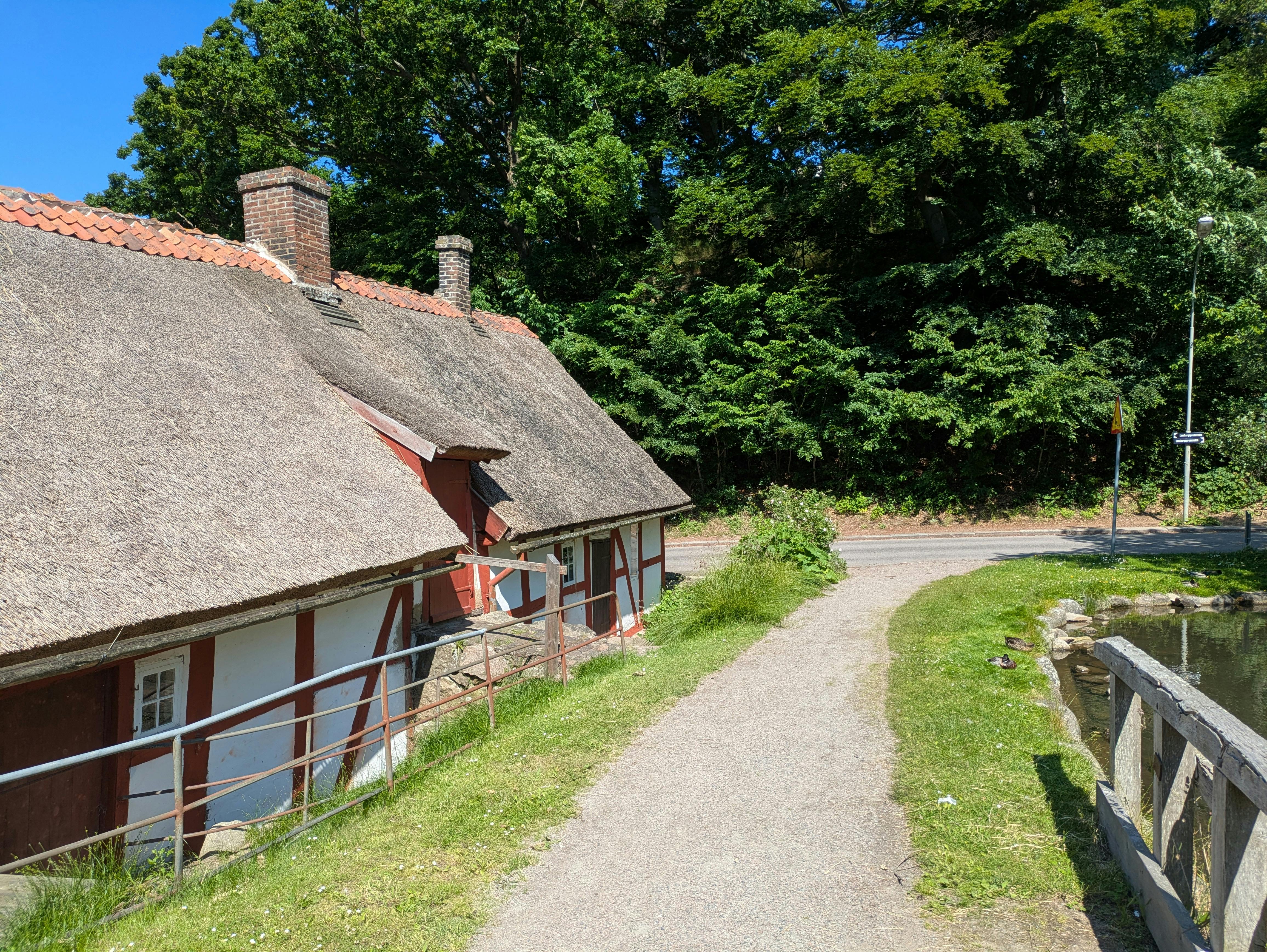 Charming Thatched Roof Cottage by Forest Path · Free Stock Photo