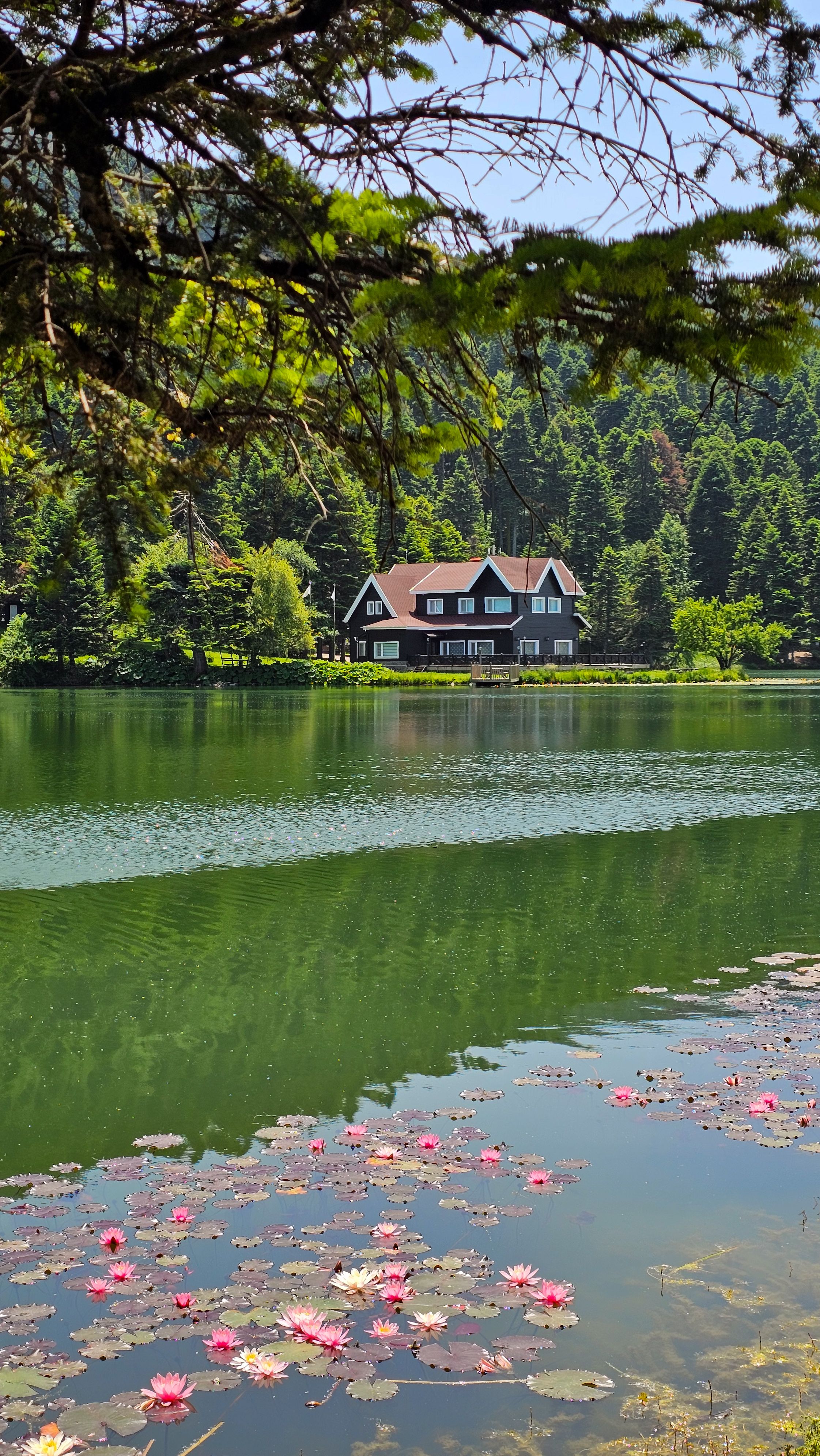 Retreat Photos, Download The BEST Free Retreat Stock Photos & HD Images