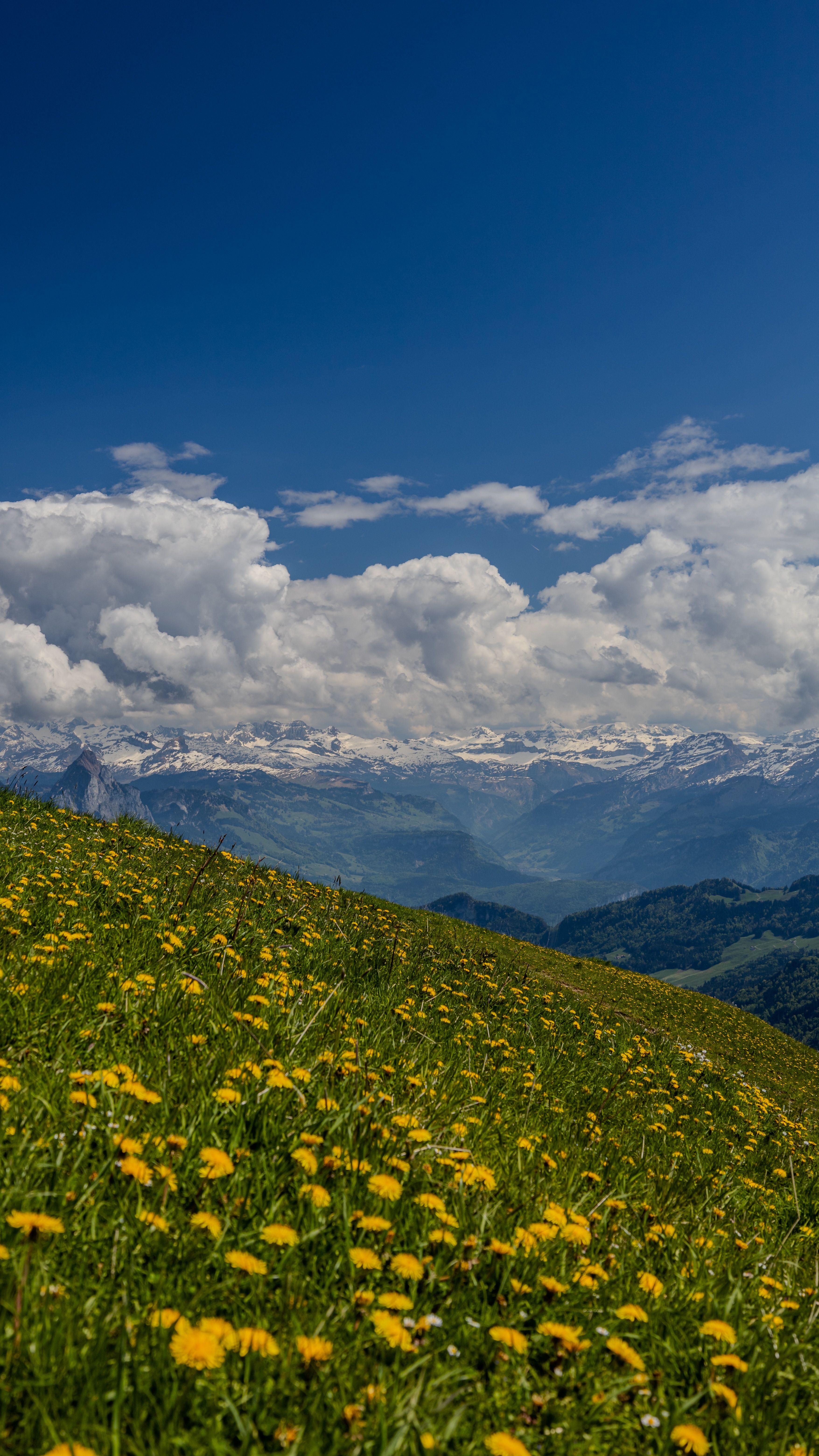 5 000+ beste Sommerbilder · 100 % gratis nedlasting · Pexels-arkivbilder