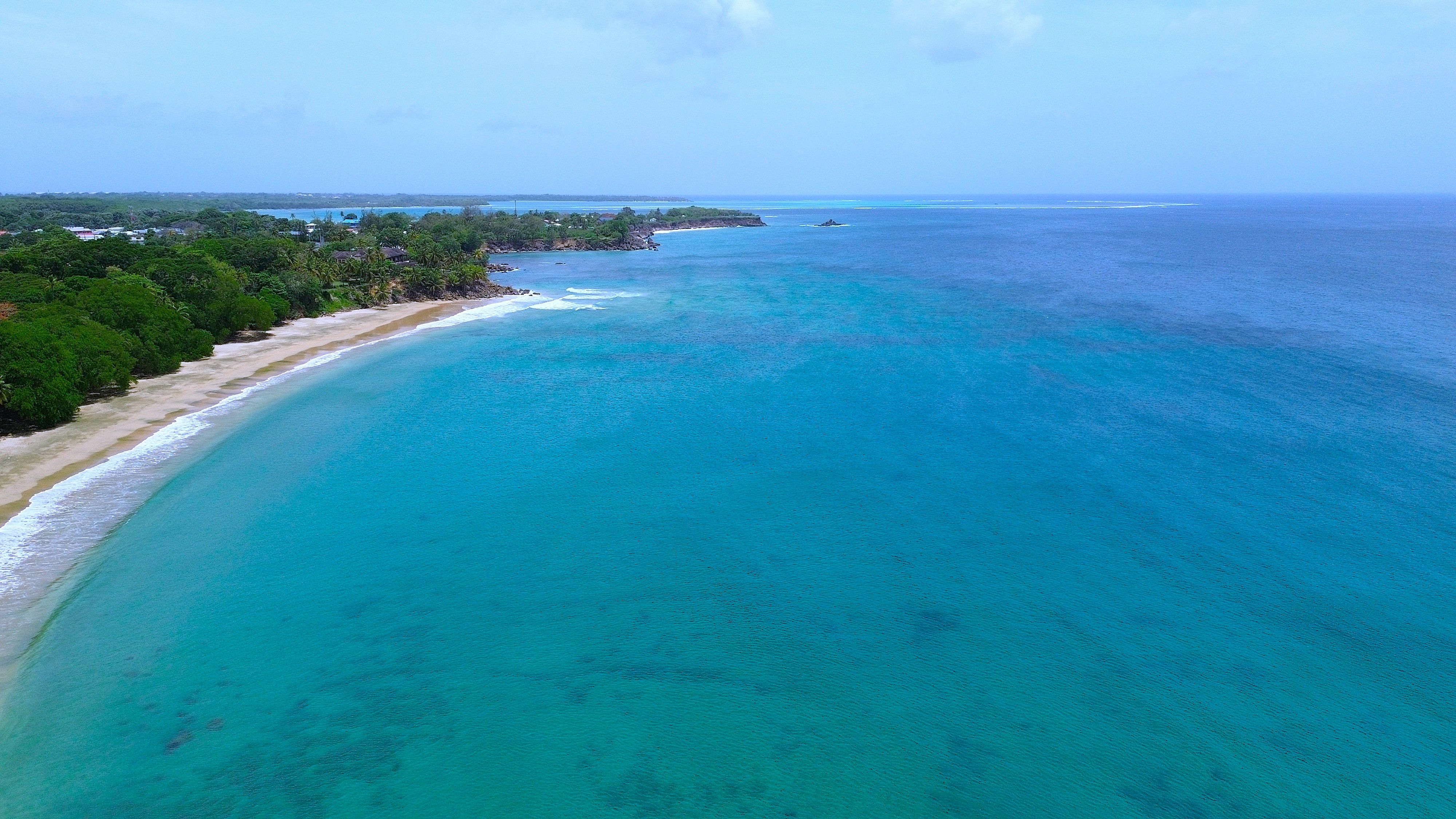Aerial View of Caribbean Beach in Tobago · Free Stock Photo