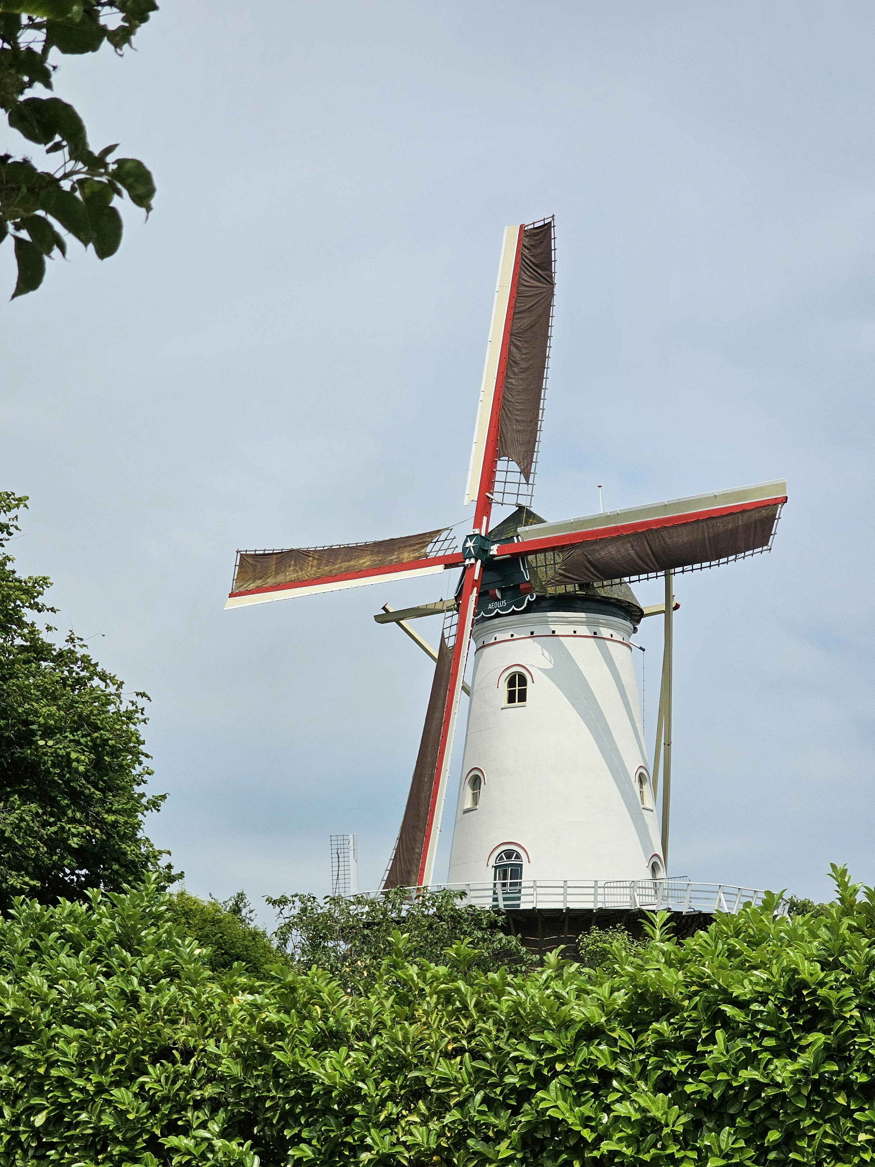 Classic Dutch Windmill Under Clear Sky · Free Stock Photo