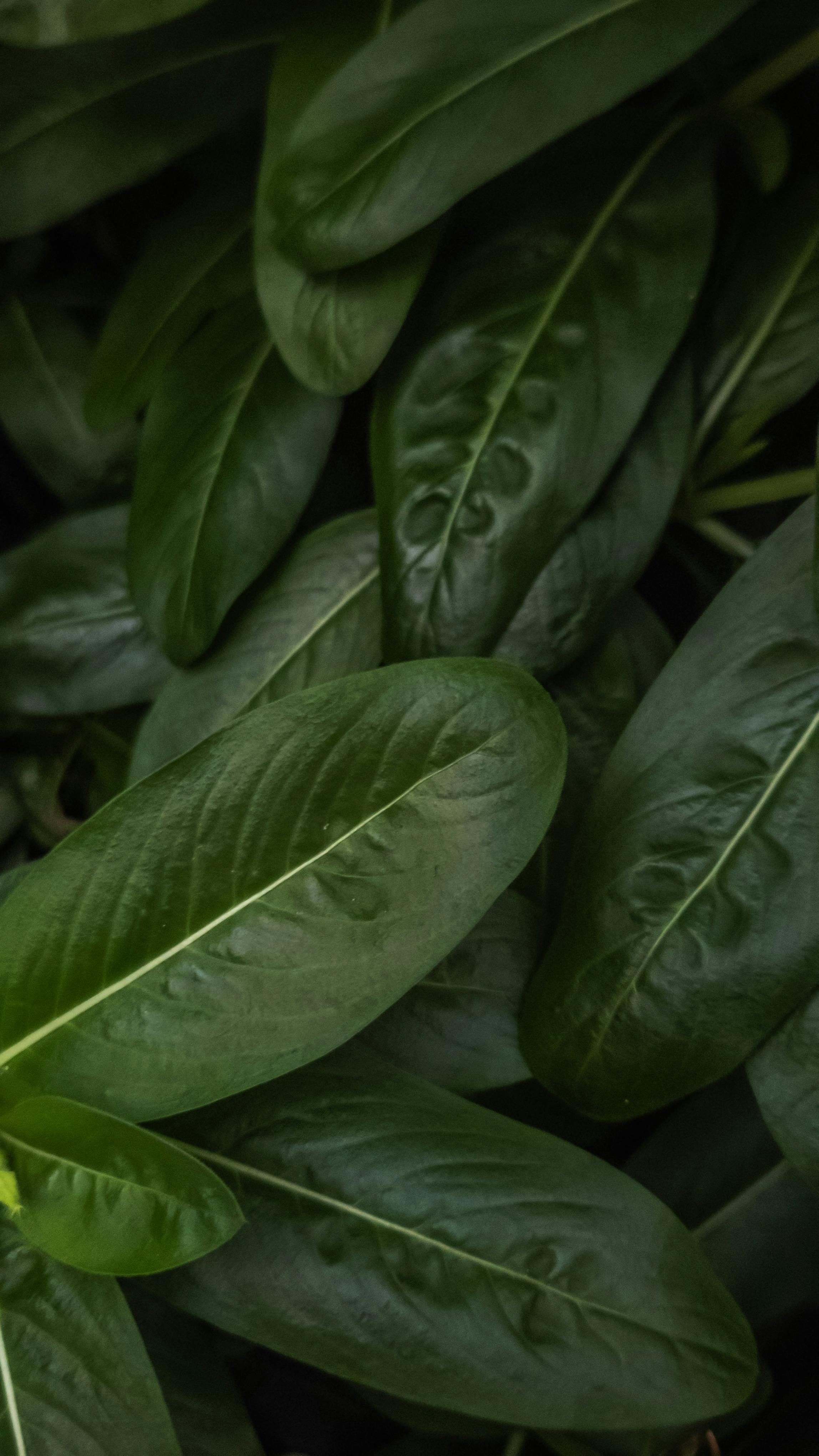 Raw Pixels Photos, Download The BEST Free Raw Pixels Stock Photos & HD ...