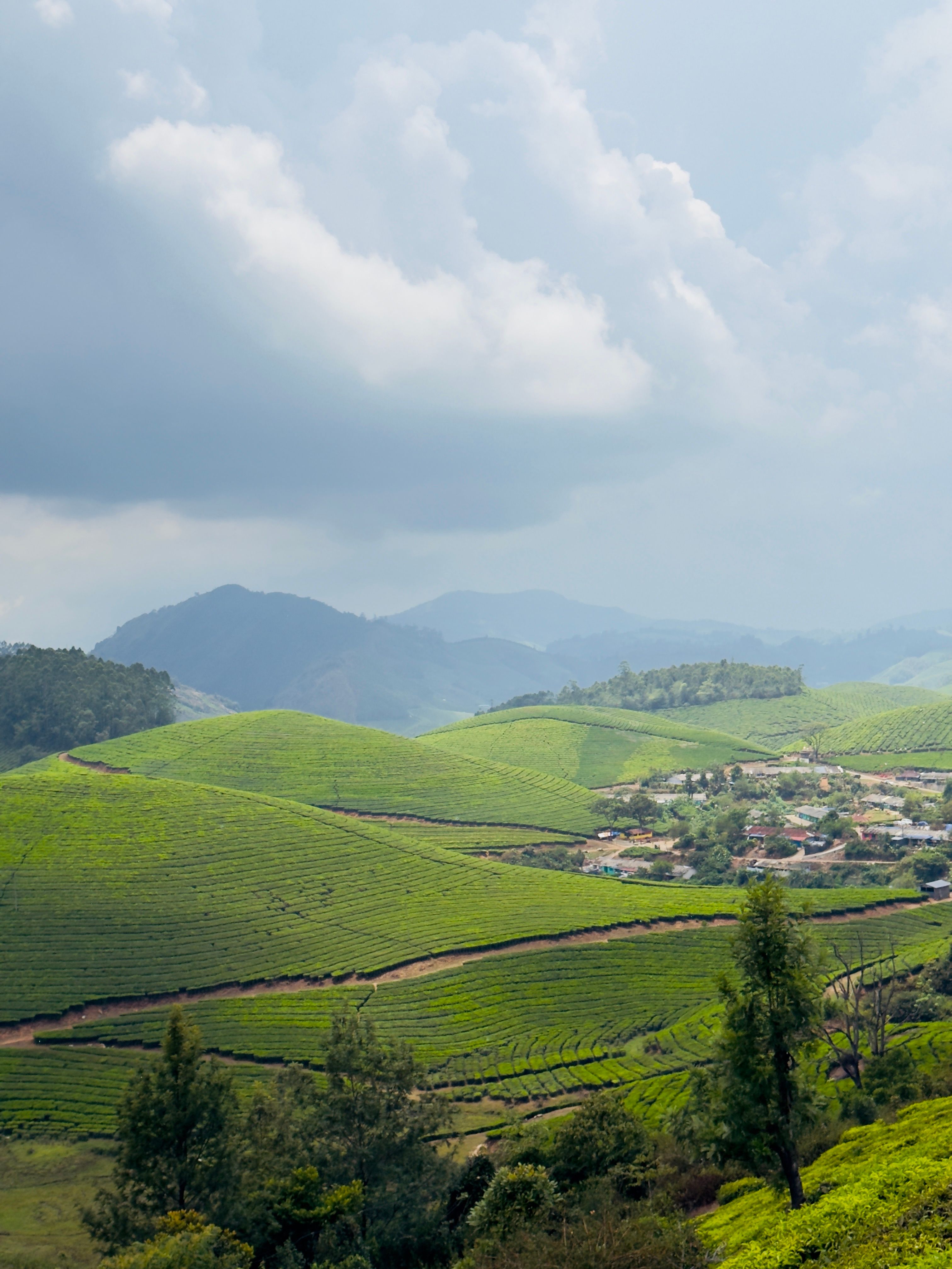 Green Countryside Landscape · Free Stock Photo