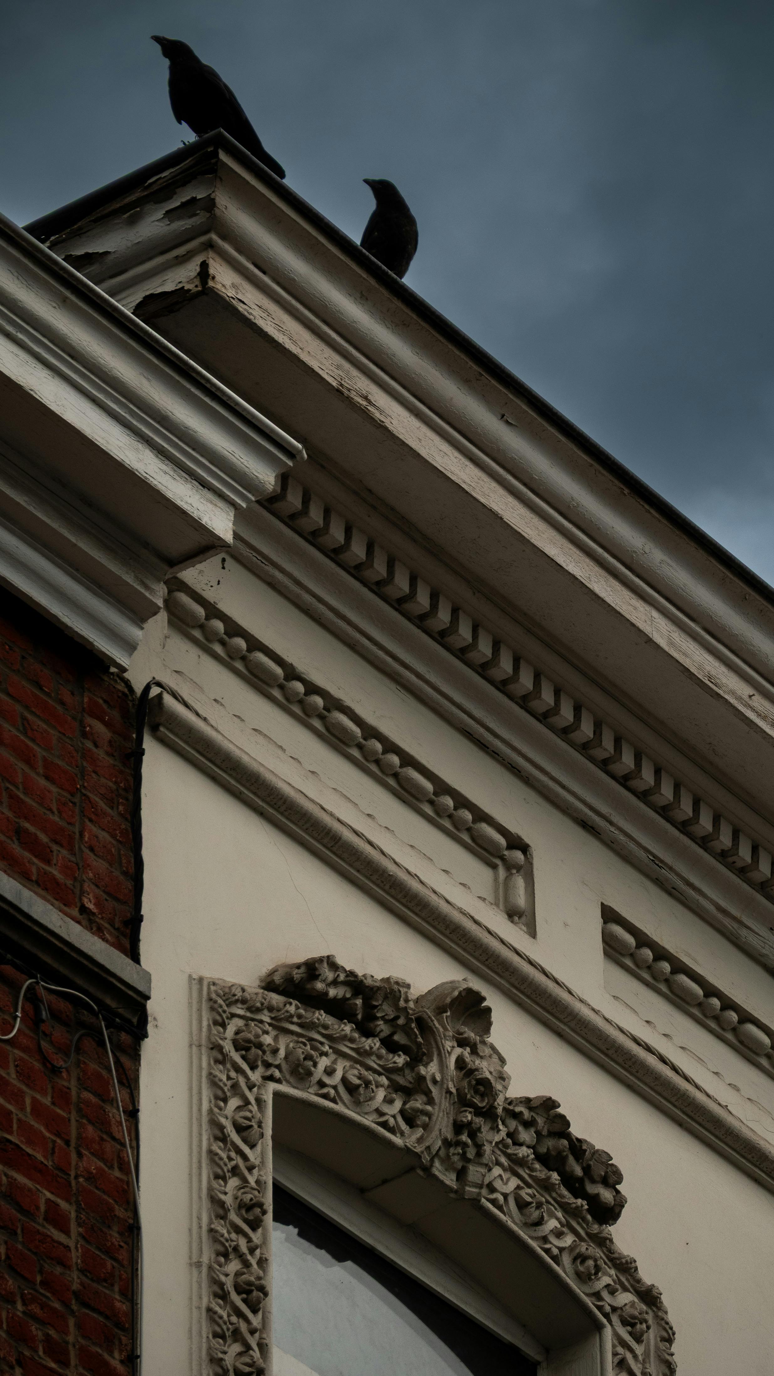 Dark City Astetic Photos, Download The BEST Free Dark City Astetic ...