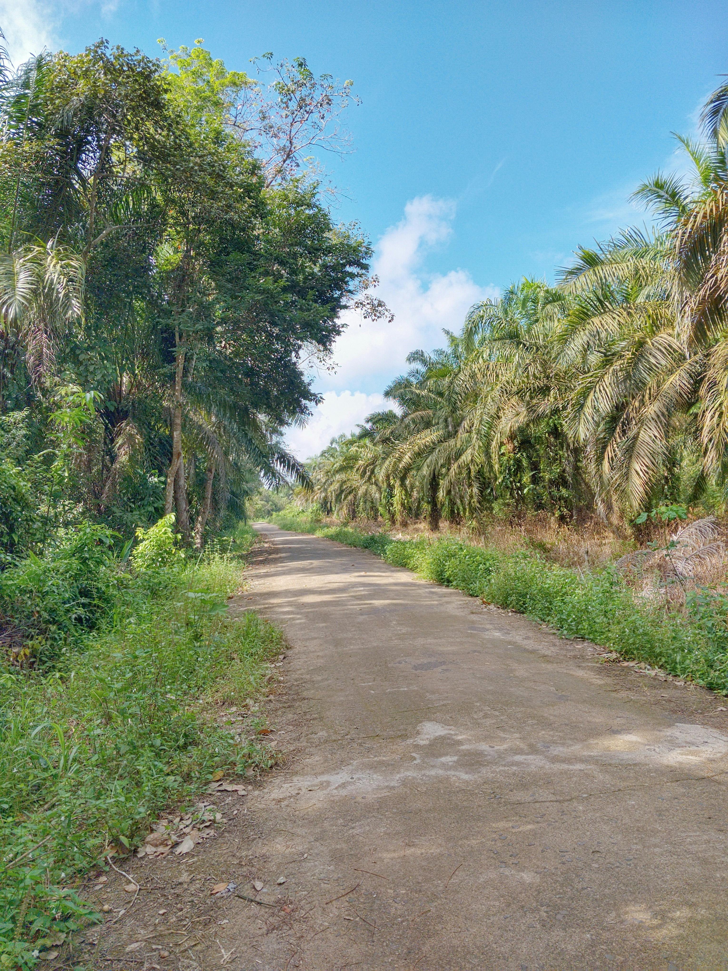 Bokep+Jepang+Non Photos, Download The BEST Free Bokep+Jepang+Non Stock Photos & HD Images