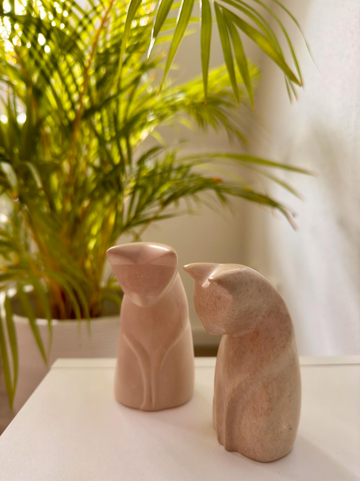 Freaky Cat Photos, Download The BEST Free Freaky Cat Stock Photos & HD ...