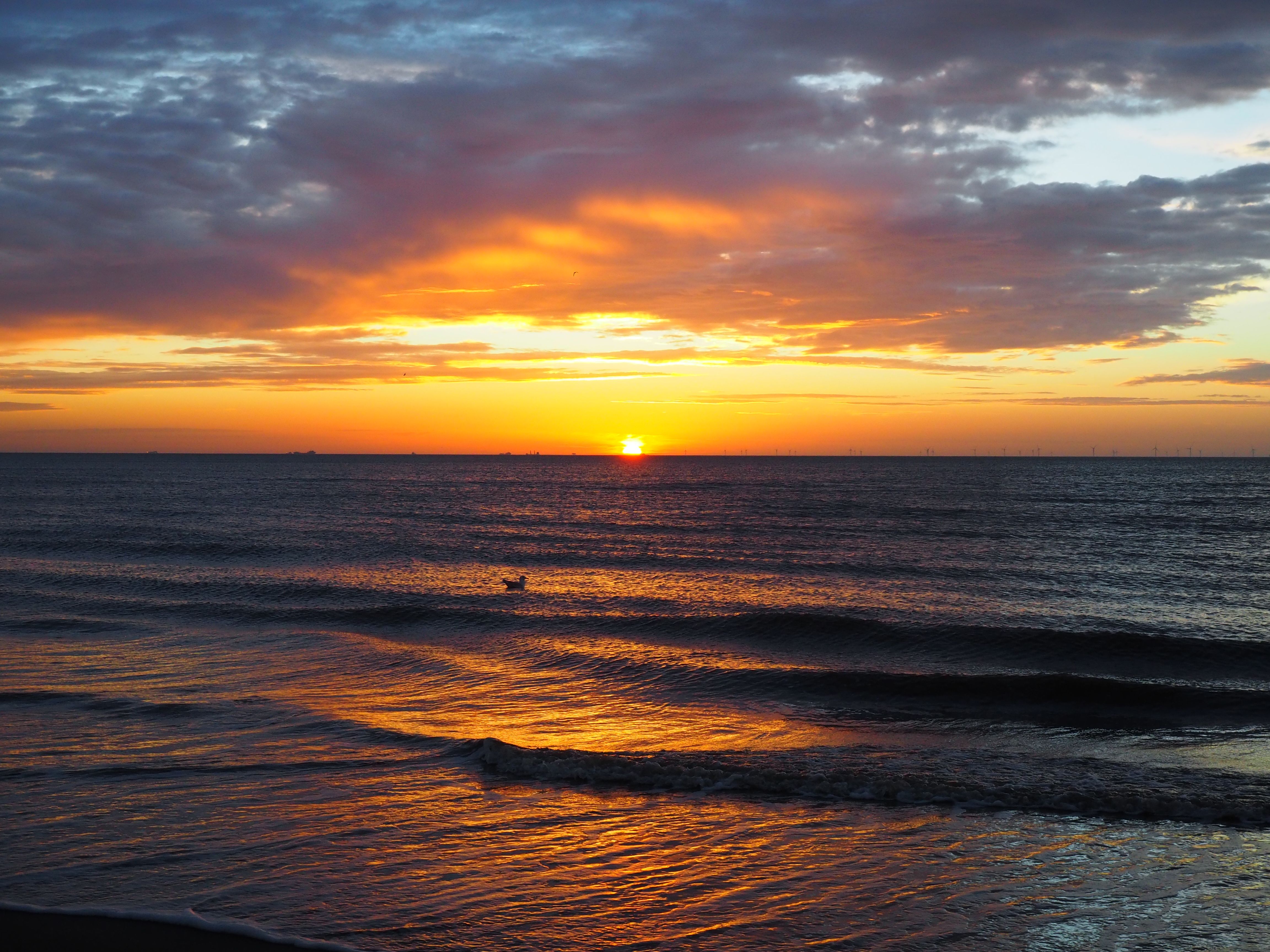 Sunsets Photos, Download The BEST Free Sunsets Stock Photos & HD Images