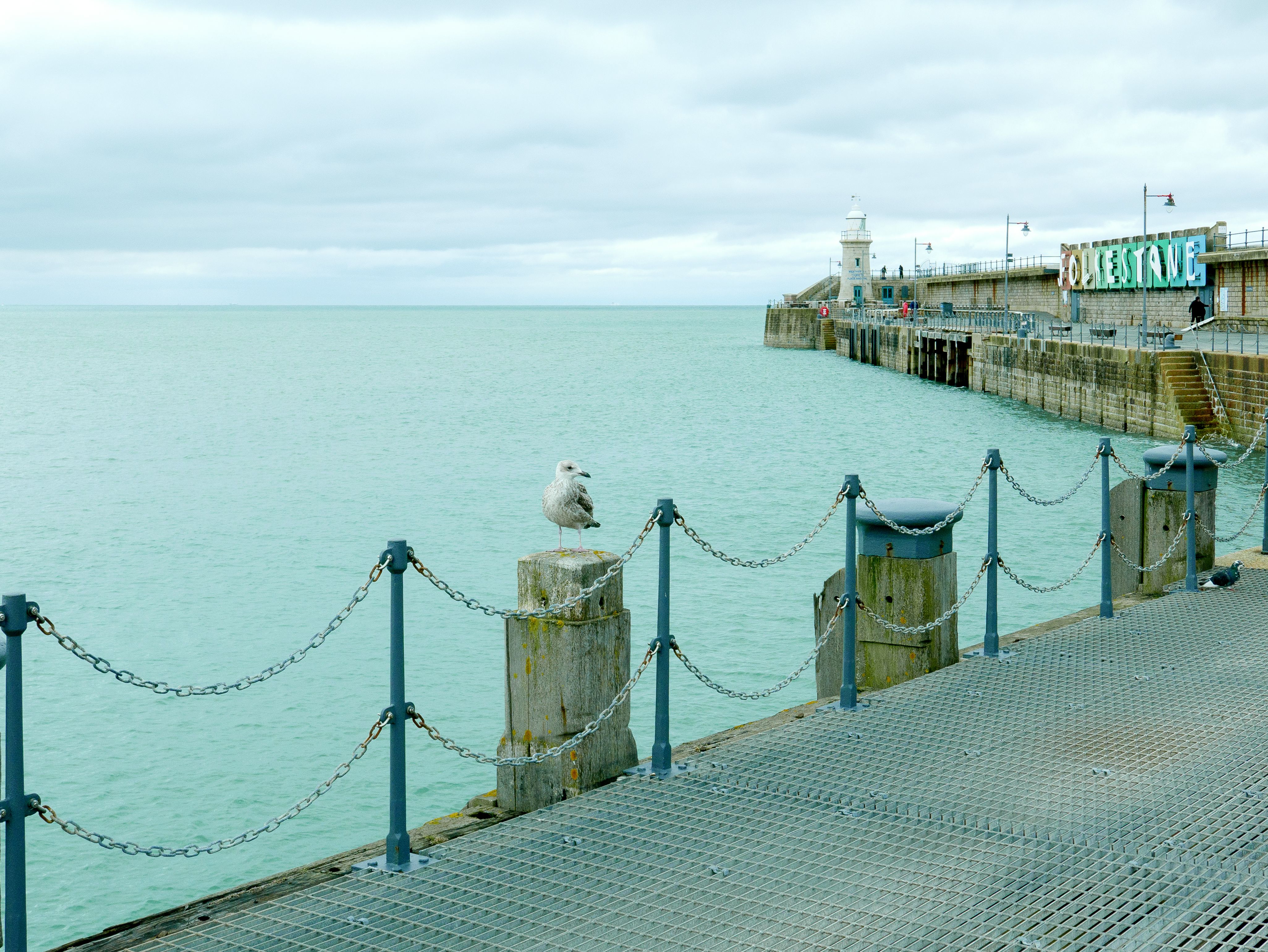 A+Cross+Sea+Bridge+In+The+Fog+At+Night+Location Photos, Download The ...