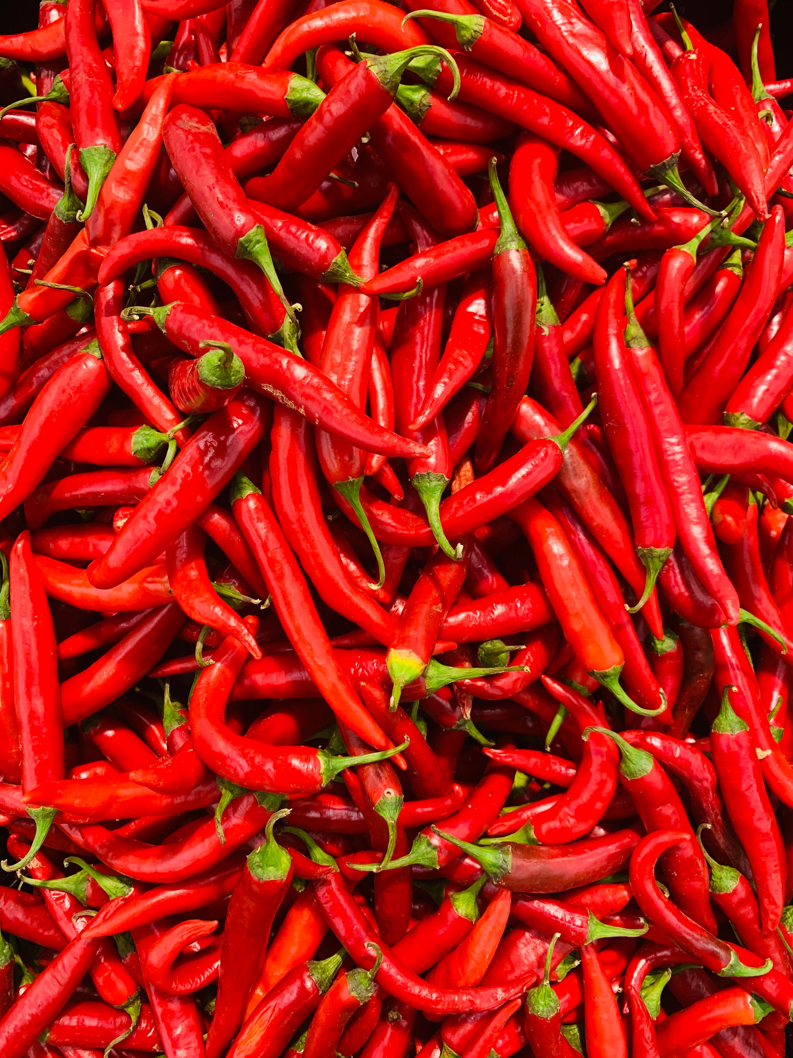 Chili Photos, Download The BEST Free Chili Stock Photos & HD Images