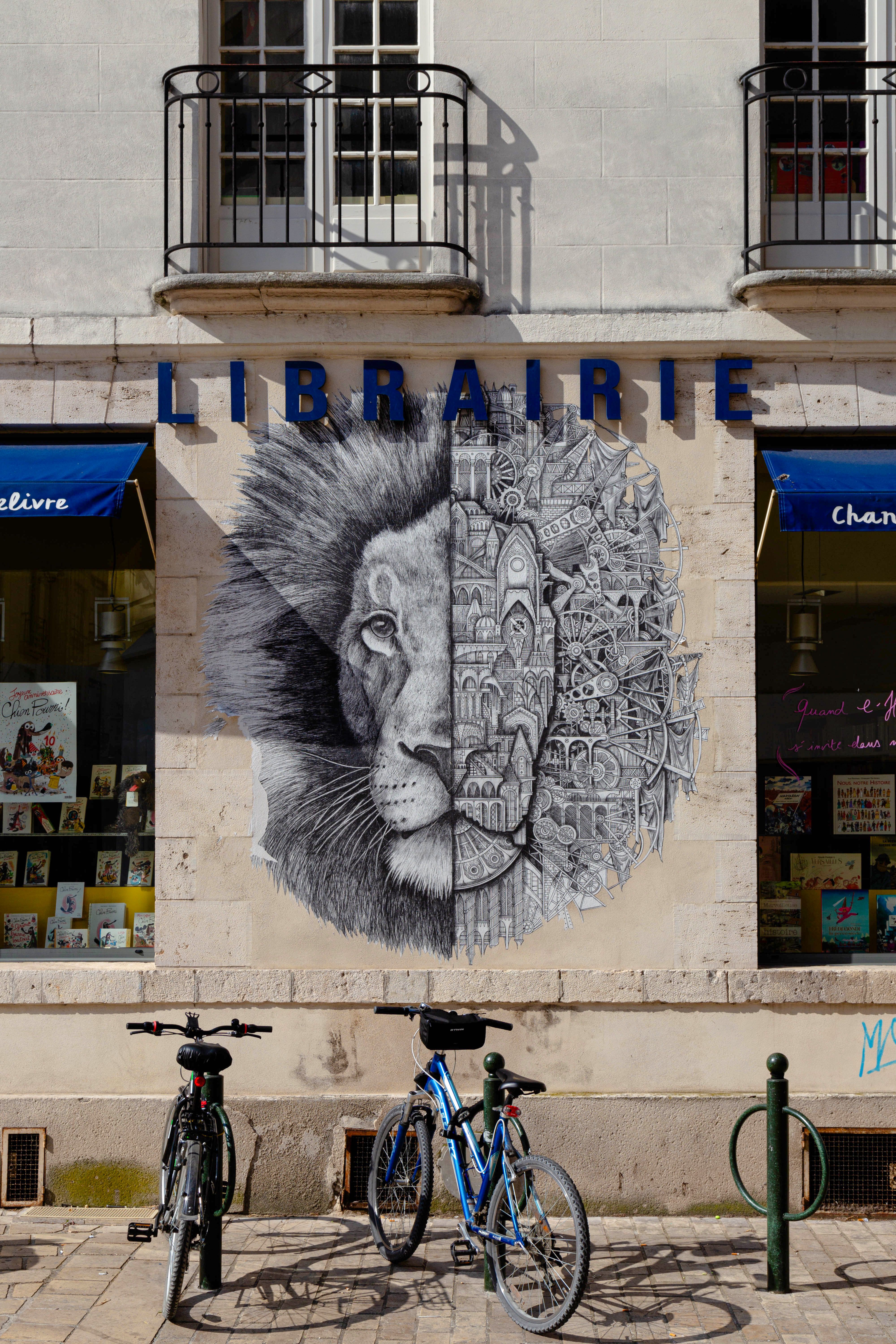 Street Art of Lion Mural on Orléans Bookstore · Free Stock Photo