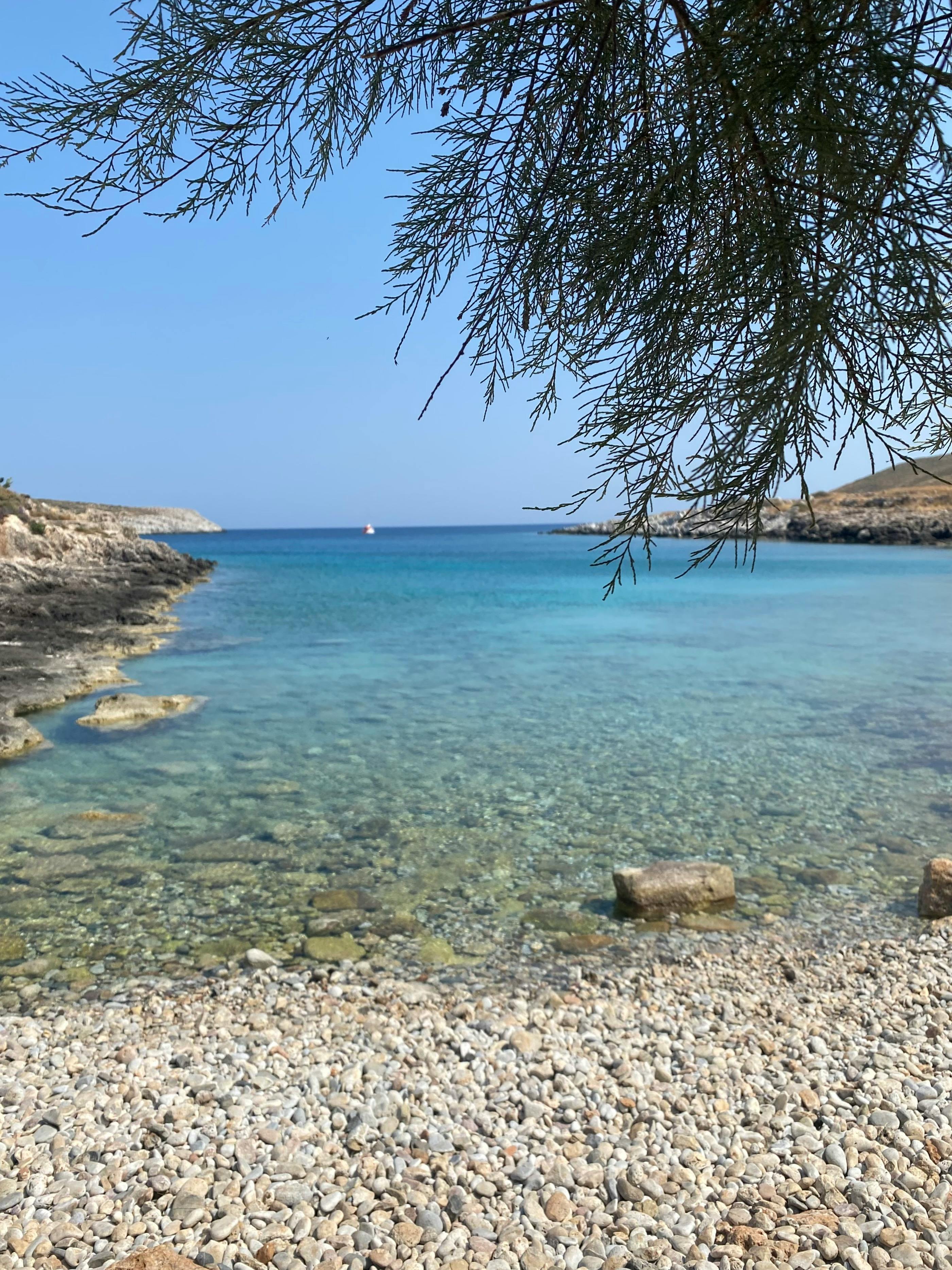 Quay Trinh Kisa Doanh Photos, Download The BEST Free Quay Trinh Kisa ...