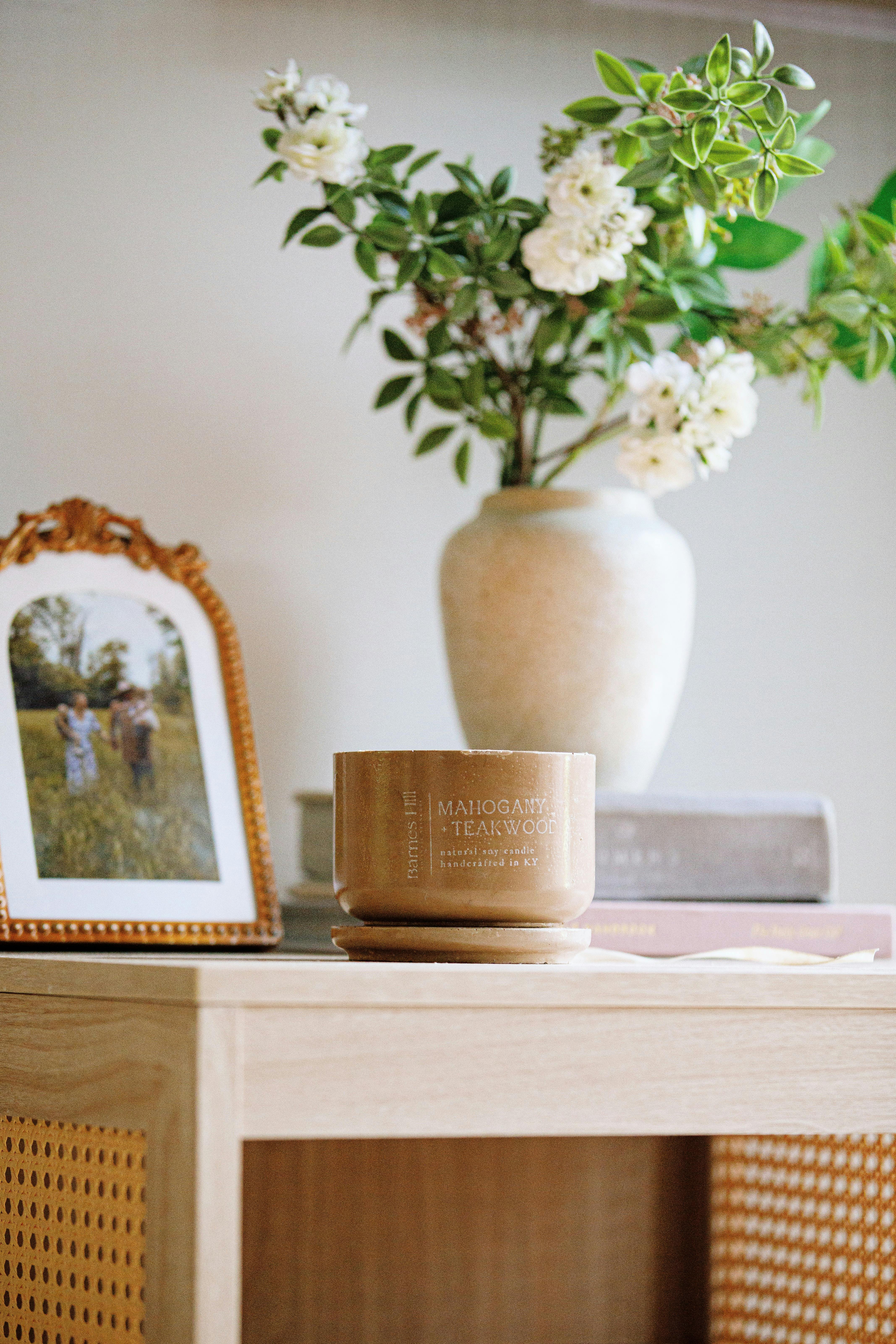 Tallow Photos, Download The BEST Free Tallow Stock Photos & HD Images