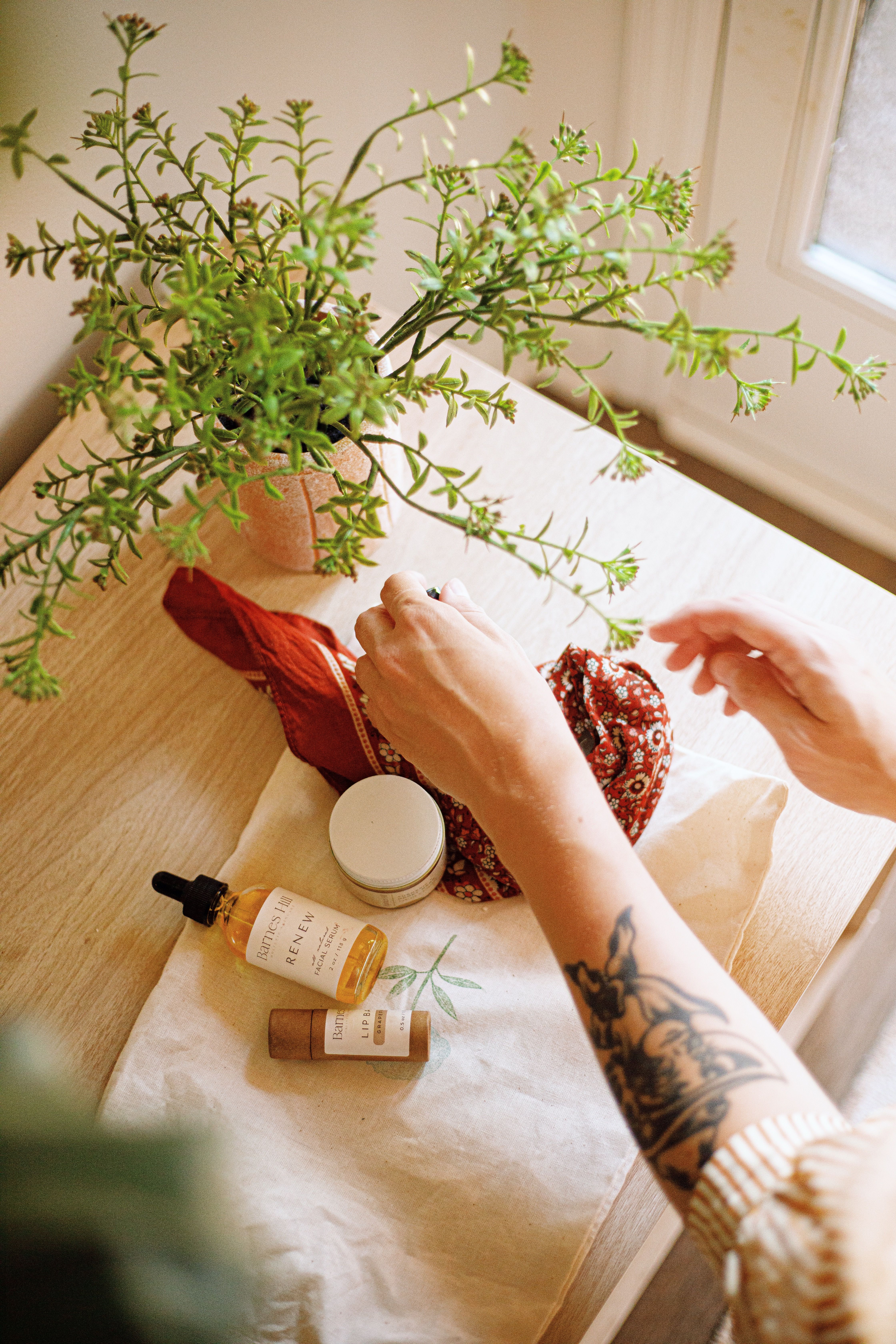 Natural Skincare Essentials with Botanical Elements · Free Stock Photo