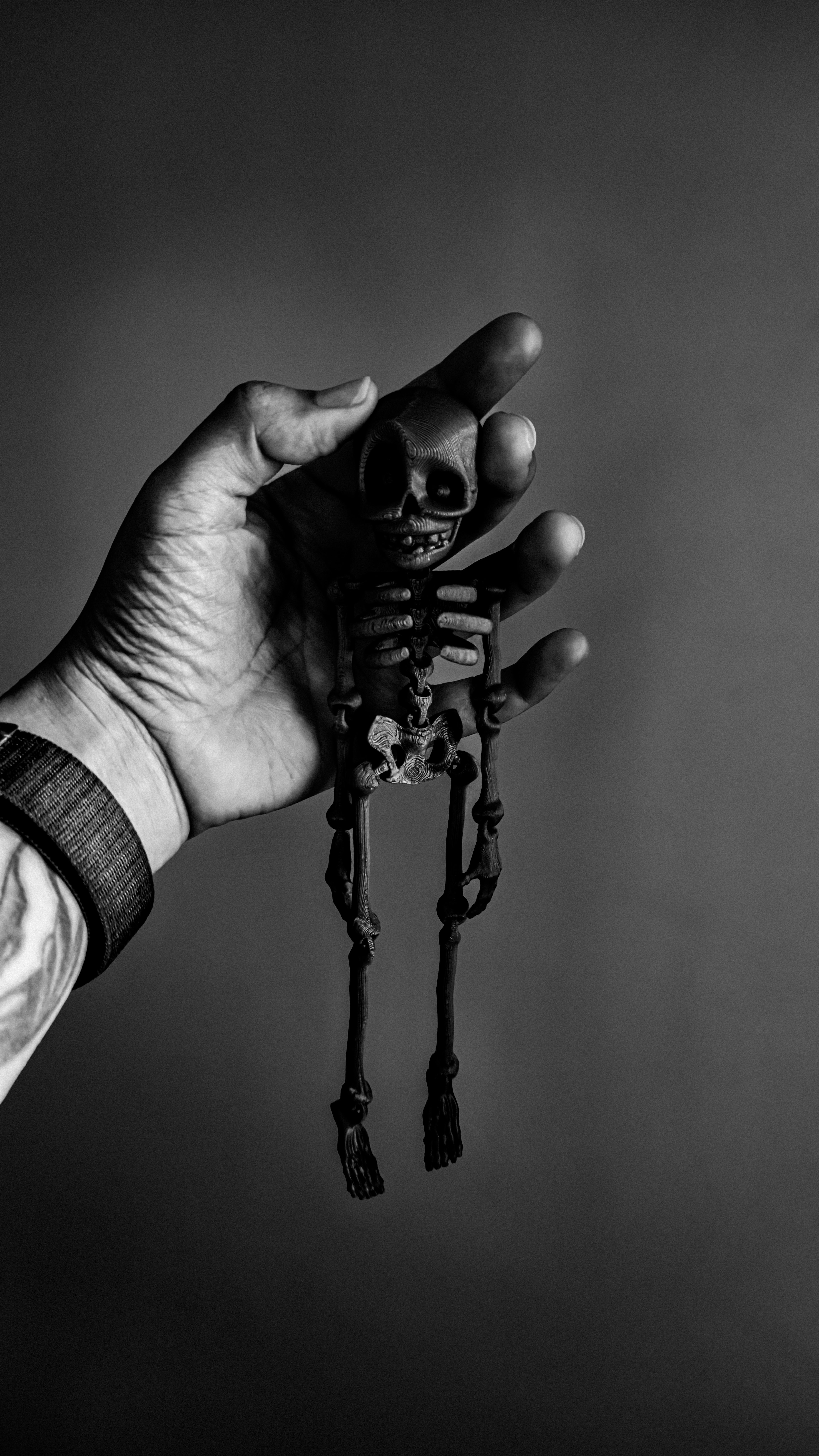 Anatomy Of A Criminal Photos, Download The BEST Free Anatomy Of A ...