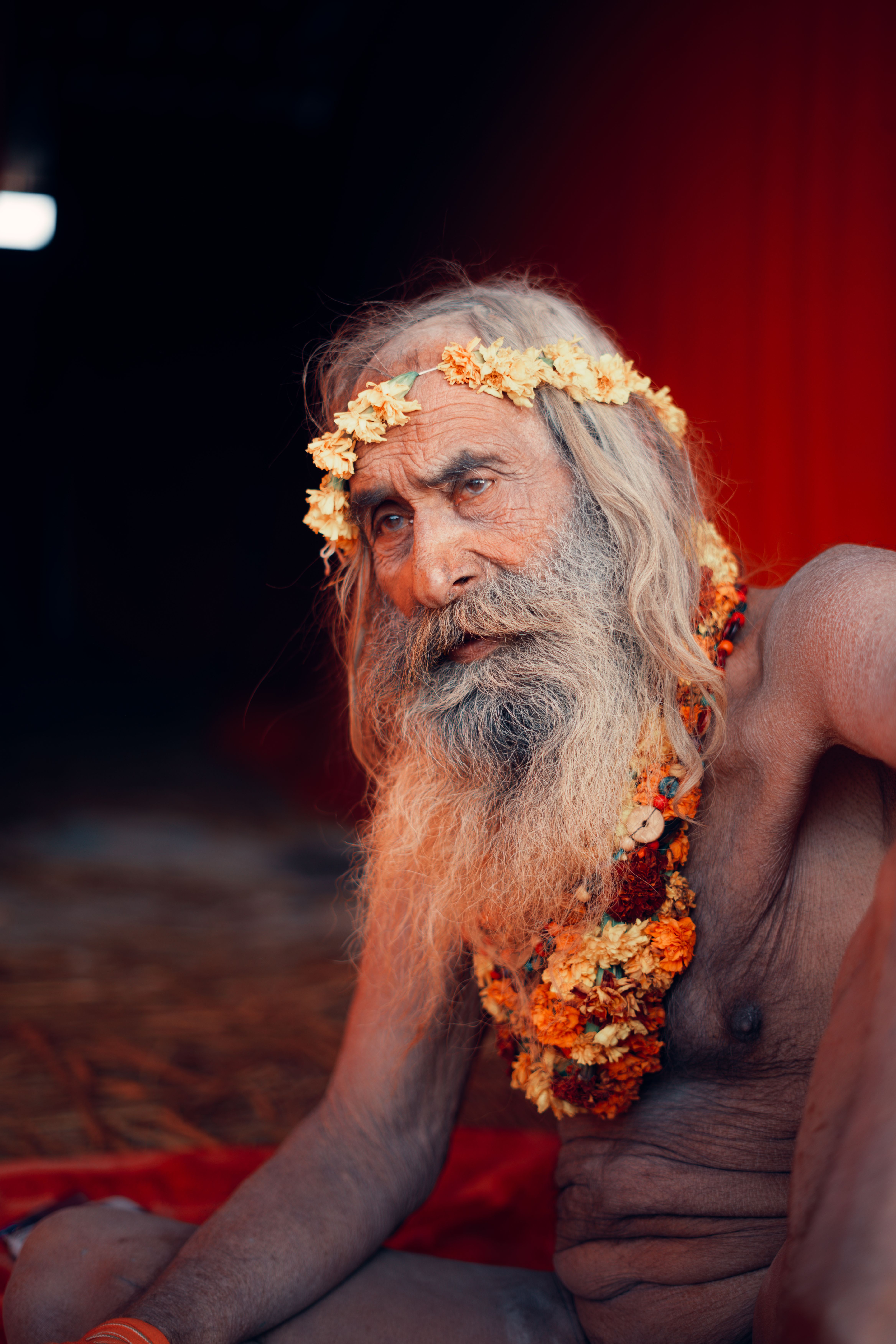 Elderly Indian Sage in Traditional Attire · Free Stock Photo