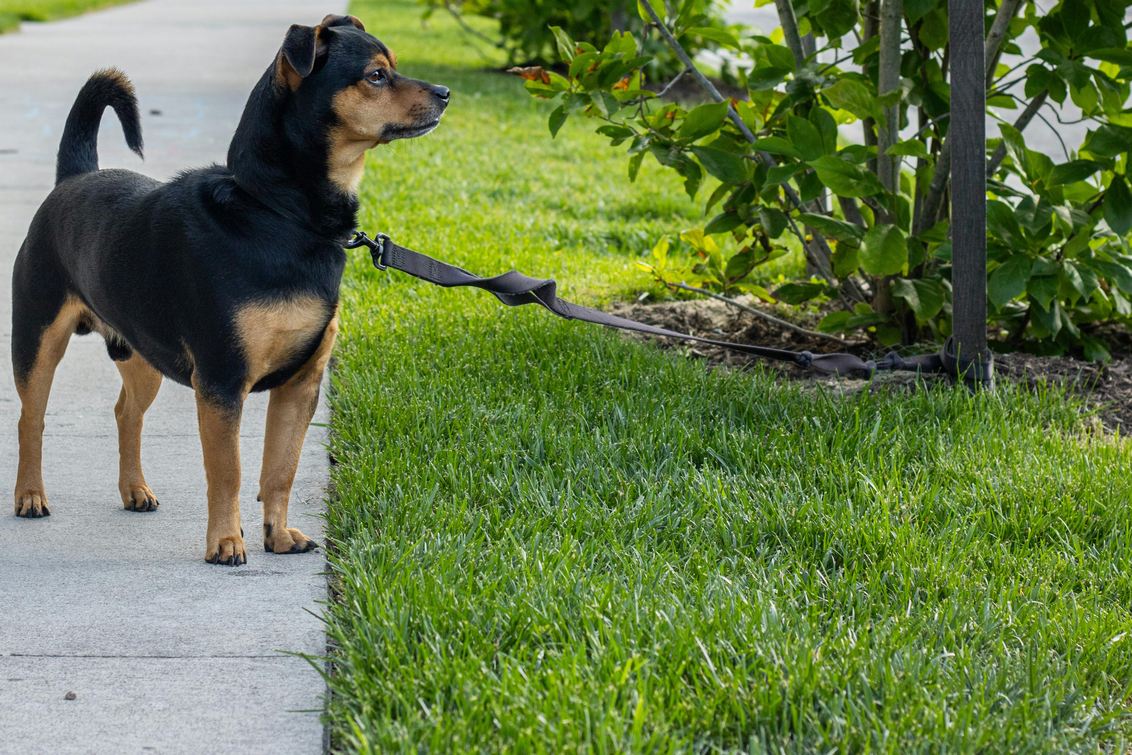 Alert Photos, Download The BEST Free Alert Stock Photos & HD Images