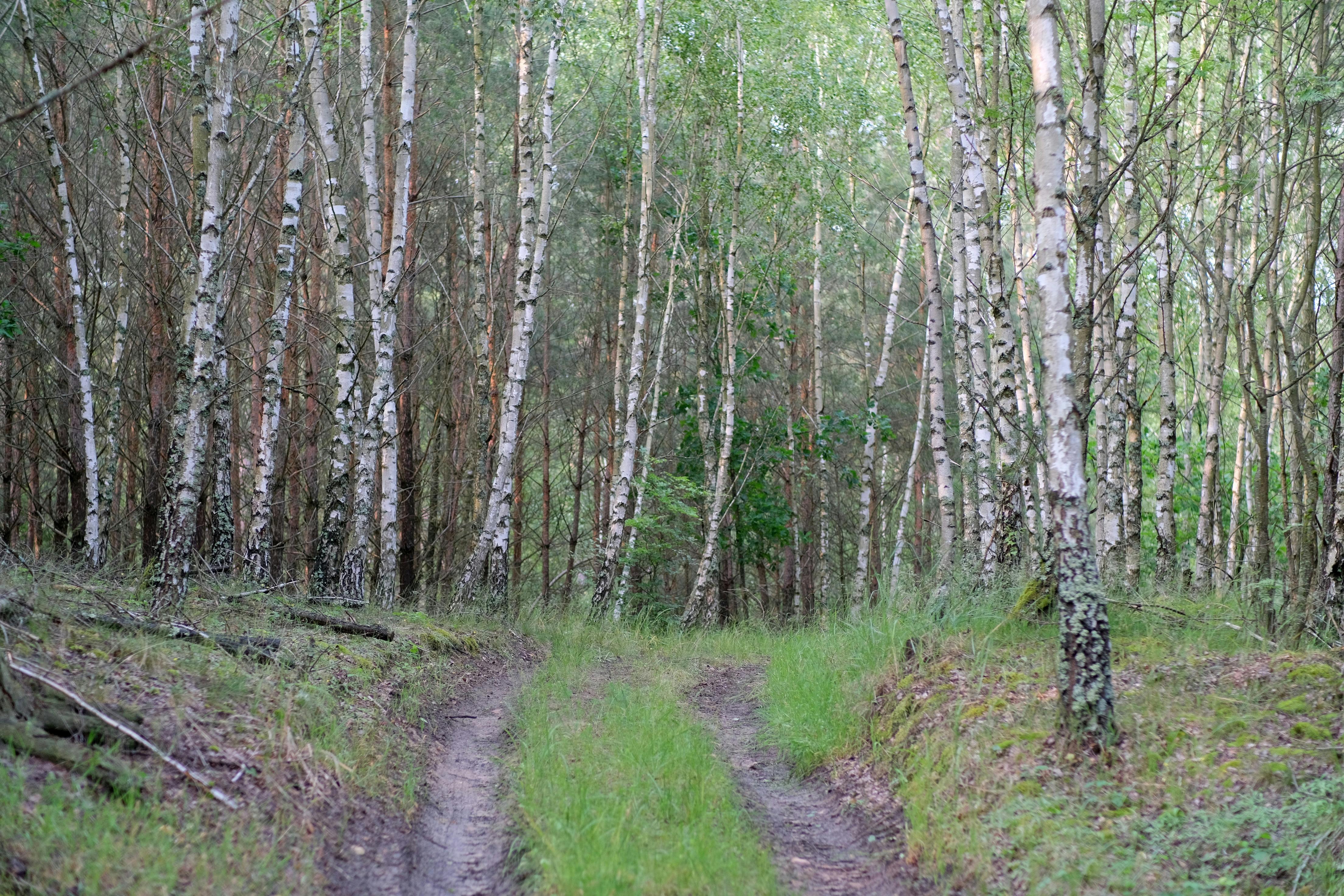 Aesthetic Rod Photos, Download The BEST Free Aesthetic Rod Stock Photos ...