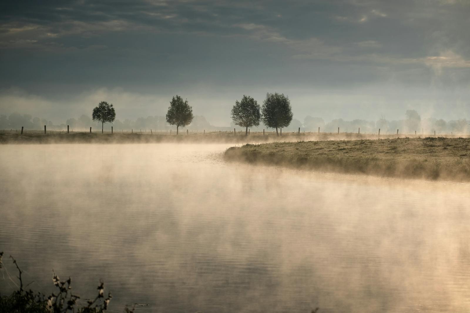 Morning Mist Photos, Download The BEST Free Morning Mist Stock Photos ...