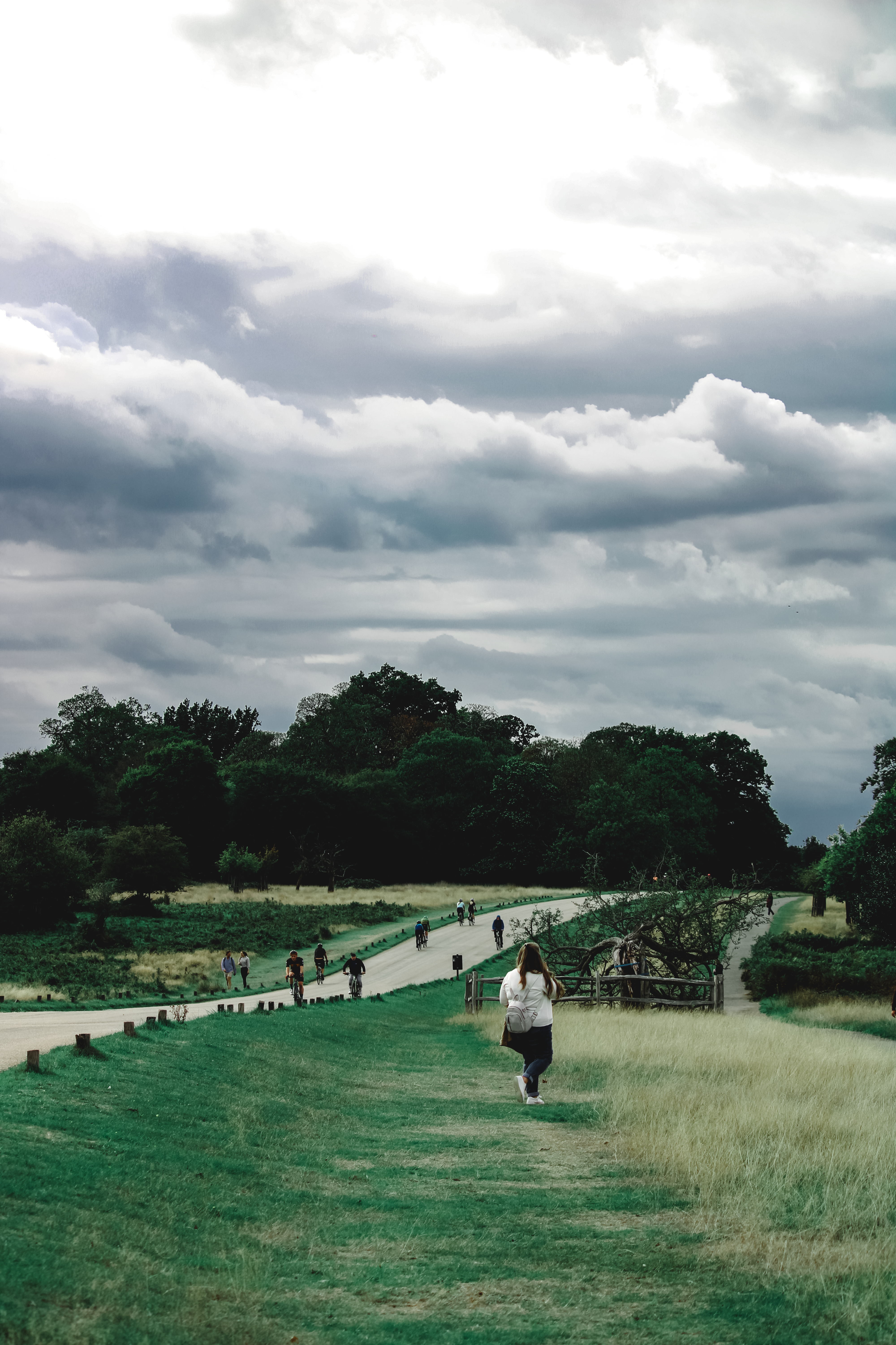 Peaceful Walk in English Countryside Park · Free Stock Photo