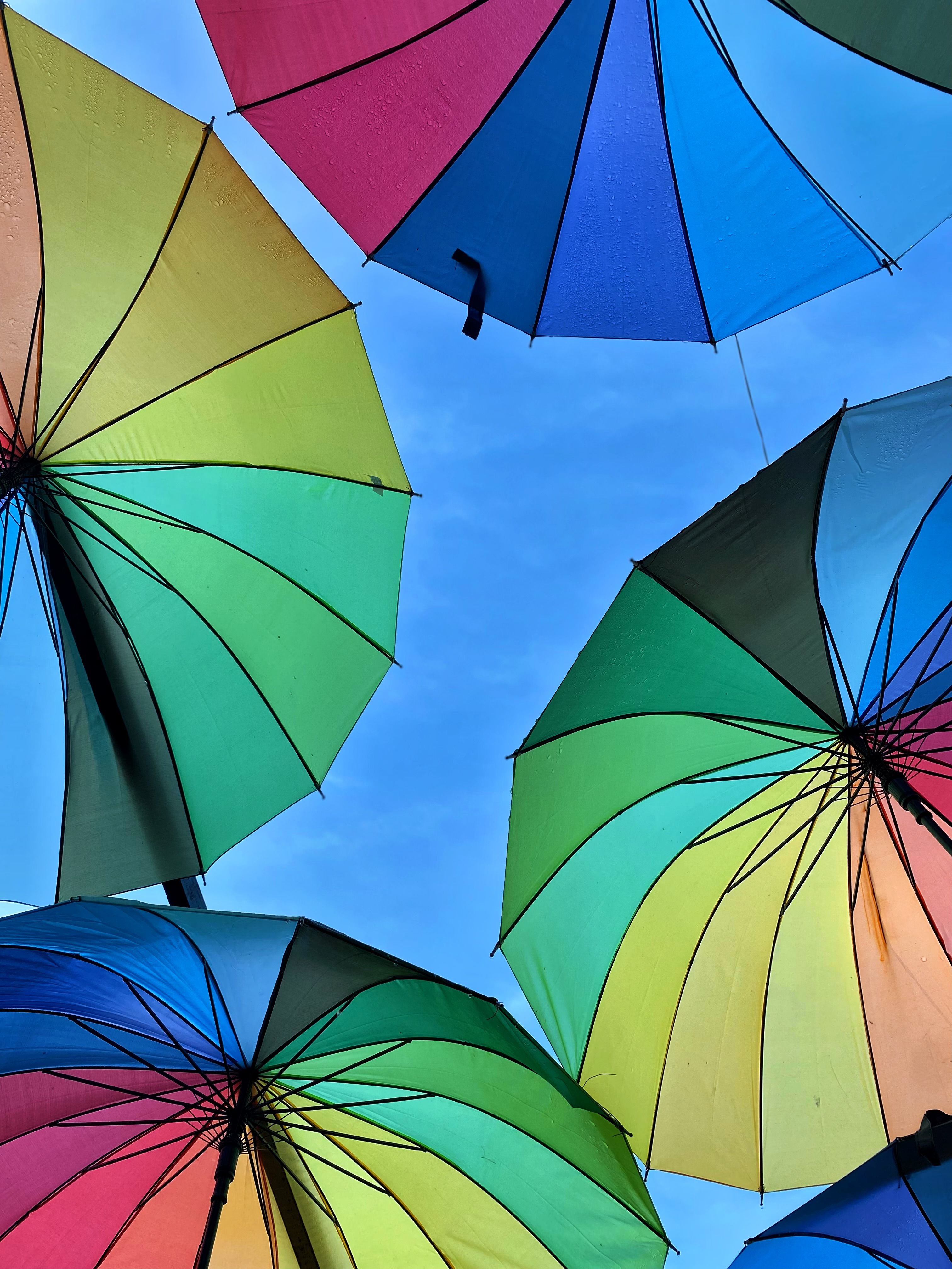 Visual Photos, Download The BEST Free Visual Stock Photos & HD Images