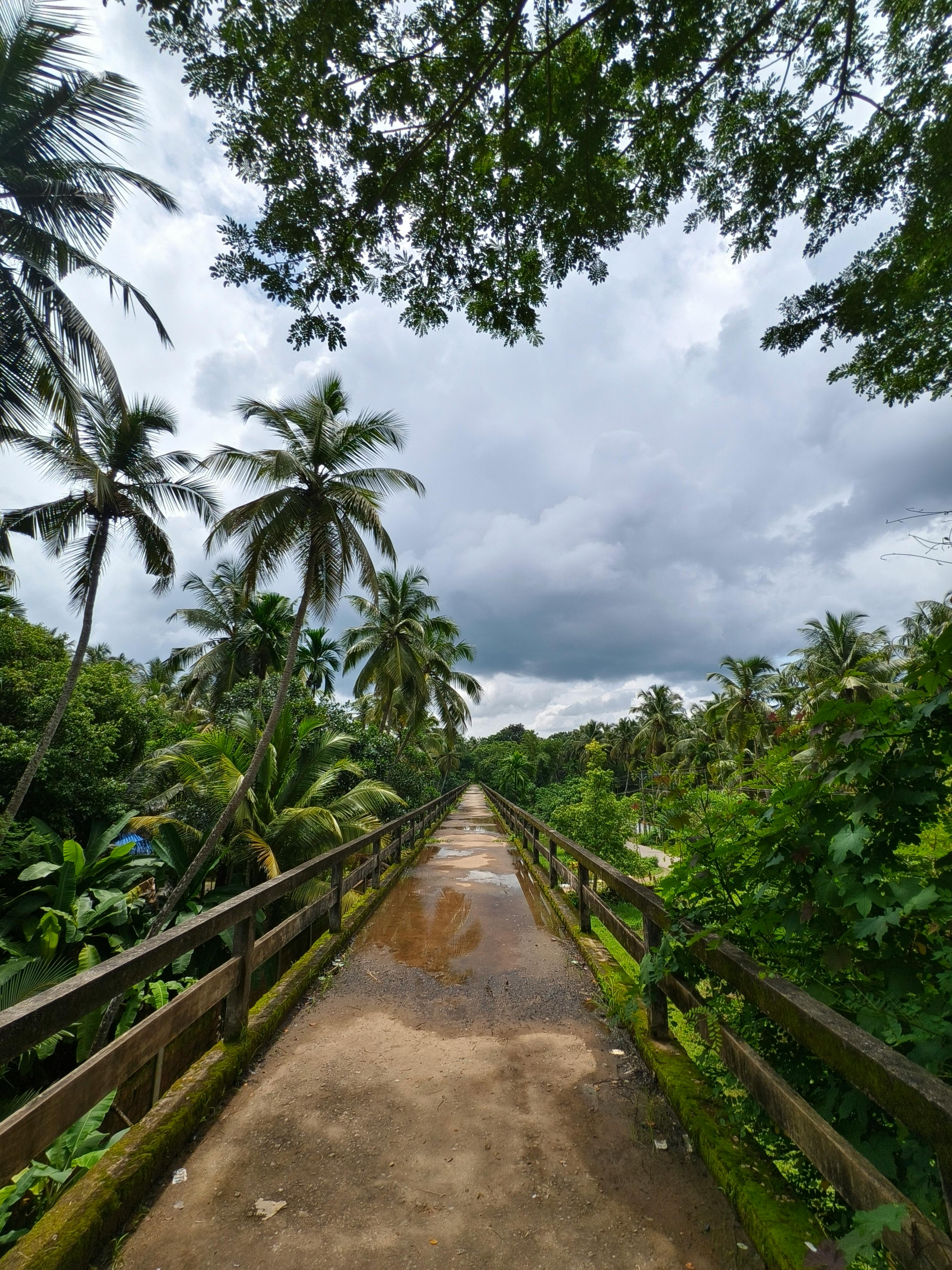 Tropical Bridge Under Cloudy Skies · Free Stock Photo