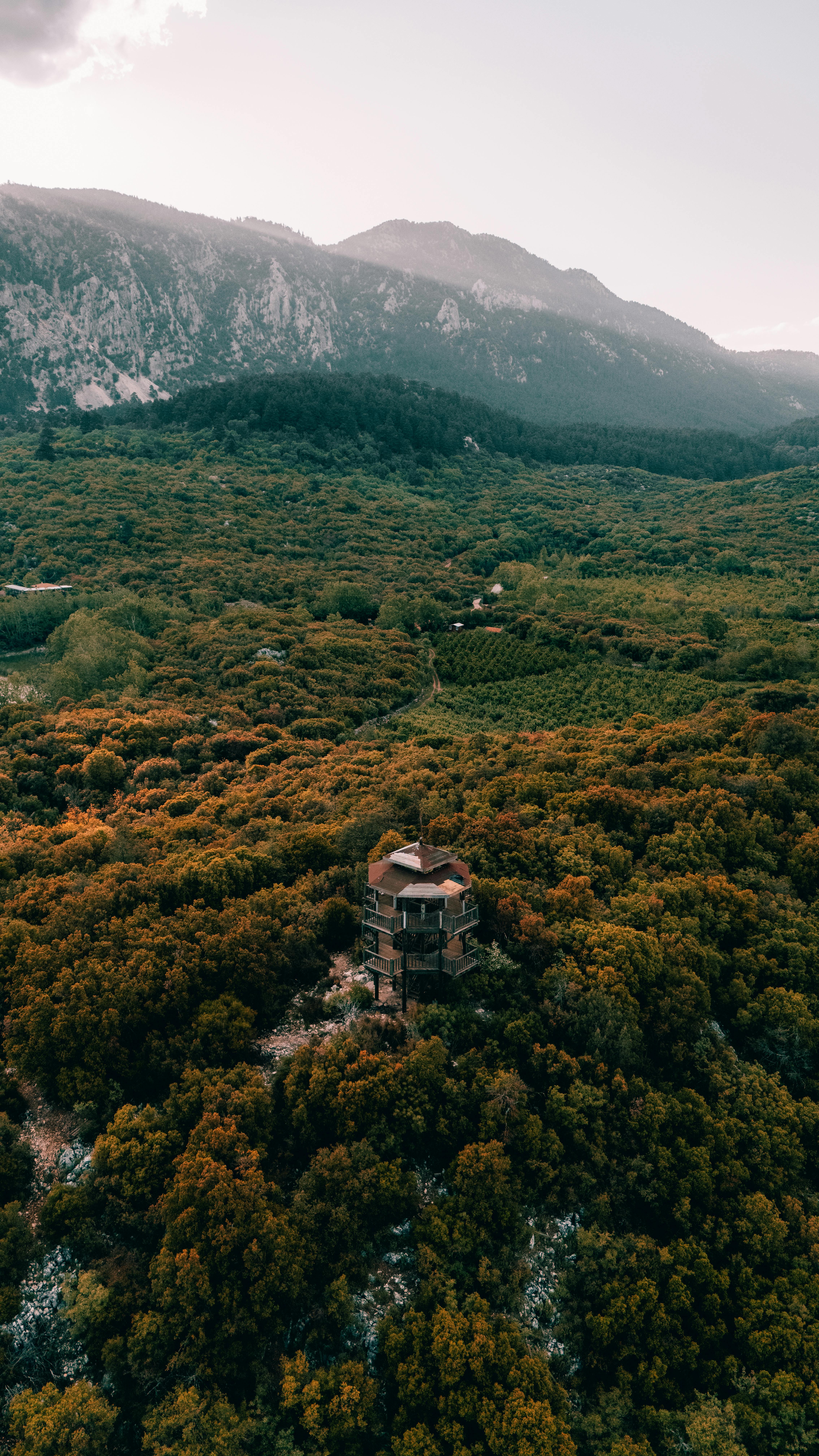 Mountain Cabin in Lush Forest, Isparta, Türkiye · Free Stock Photo