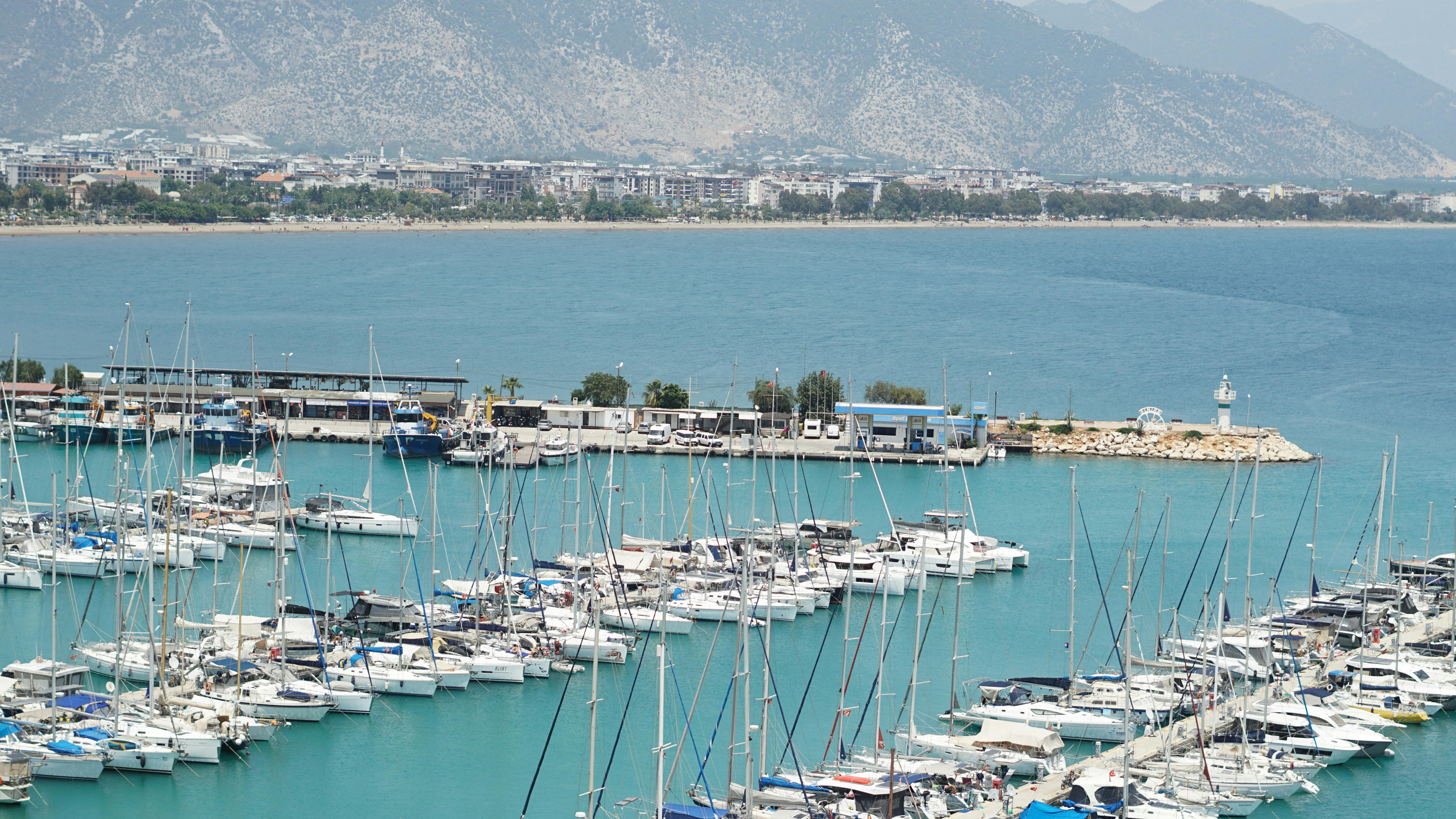 Hamster Port Photos, Download The BEST Free Hamster Port Stock Photos ...