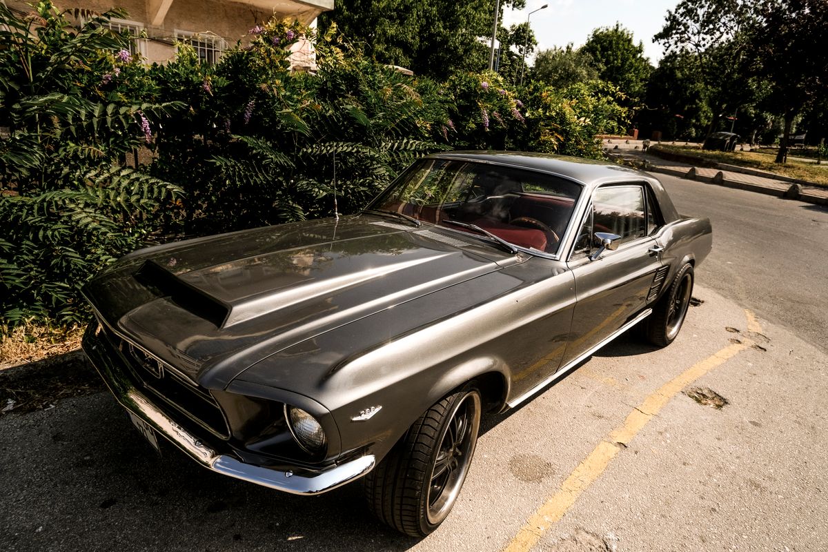 Mustang Photos, Download The BEST Free Mustang Stock Photos & HD Images