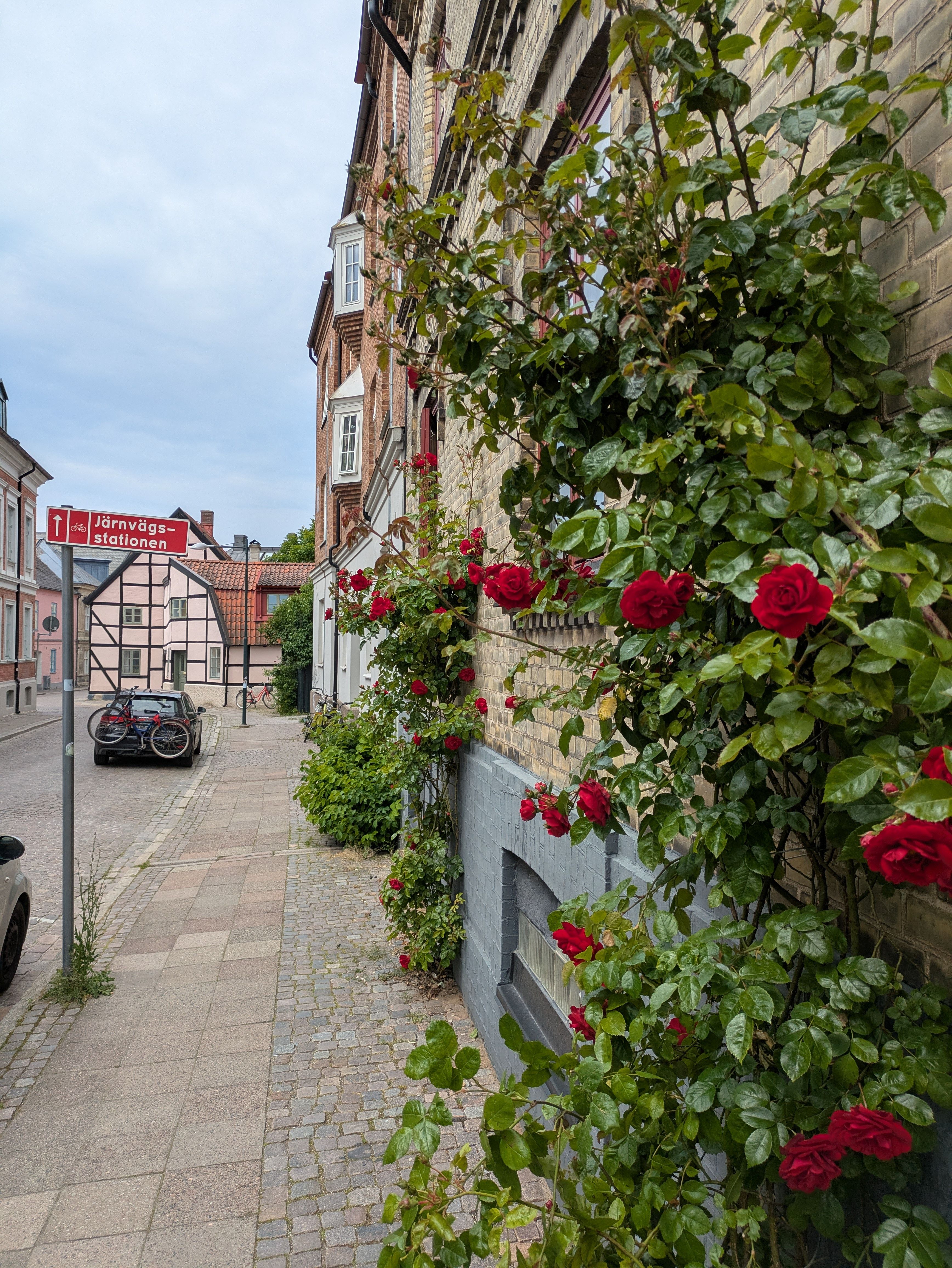 Charming European Street with Red Roses · Free Stock Photo