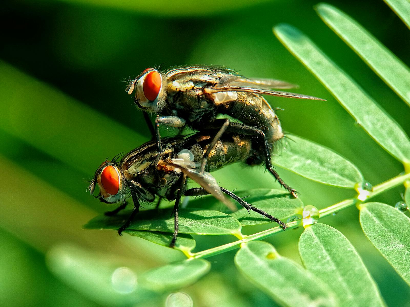 Grainy+Milky+Way+Shot Photos, Download The BEST Free Grainy+Milky+Way ...