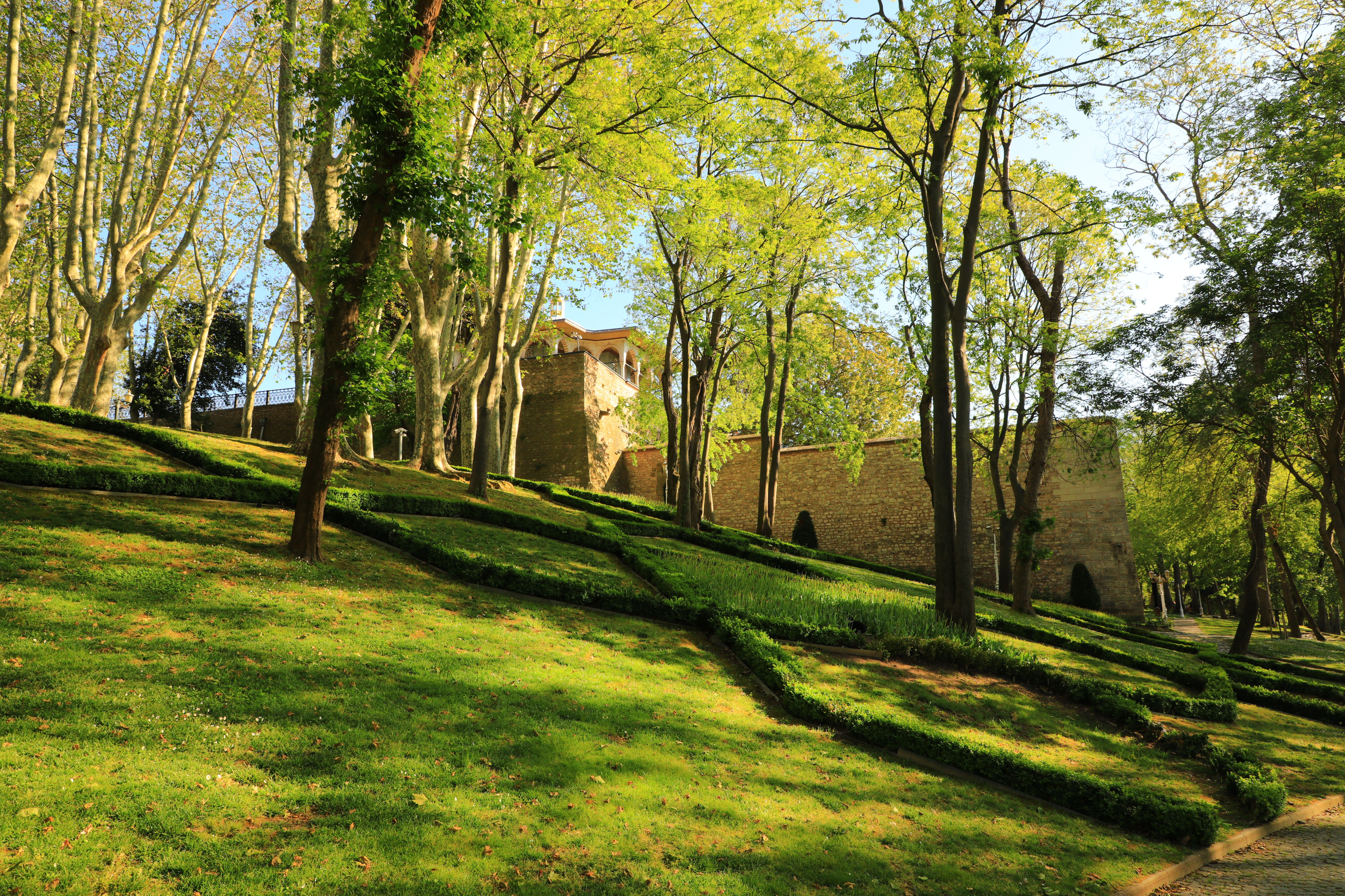 Lush Spring Landscape in İstanbul Park · Free Stock Photo