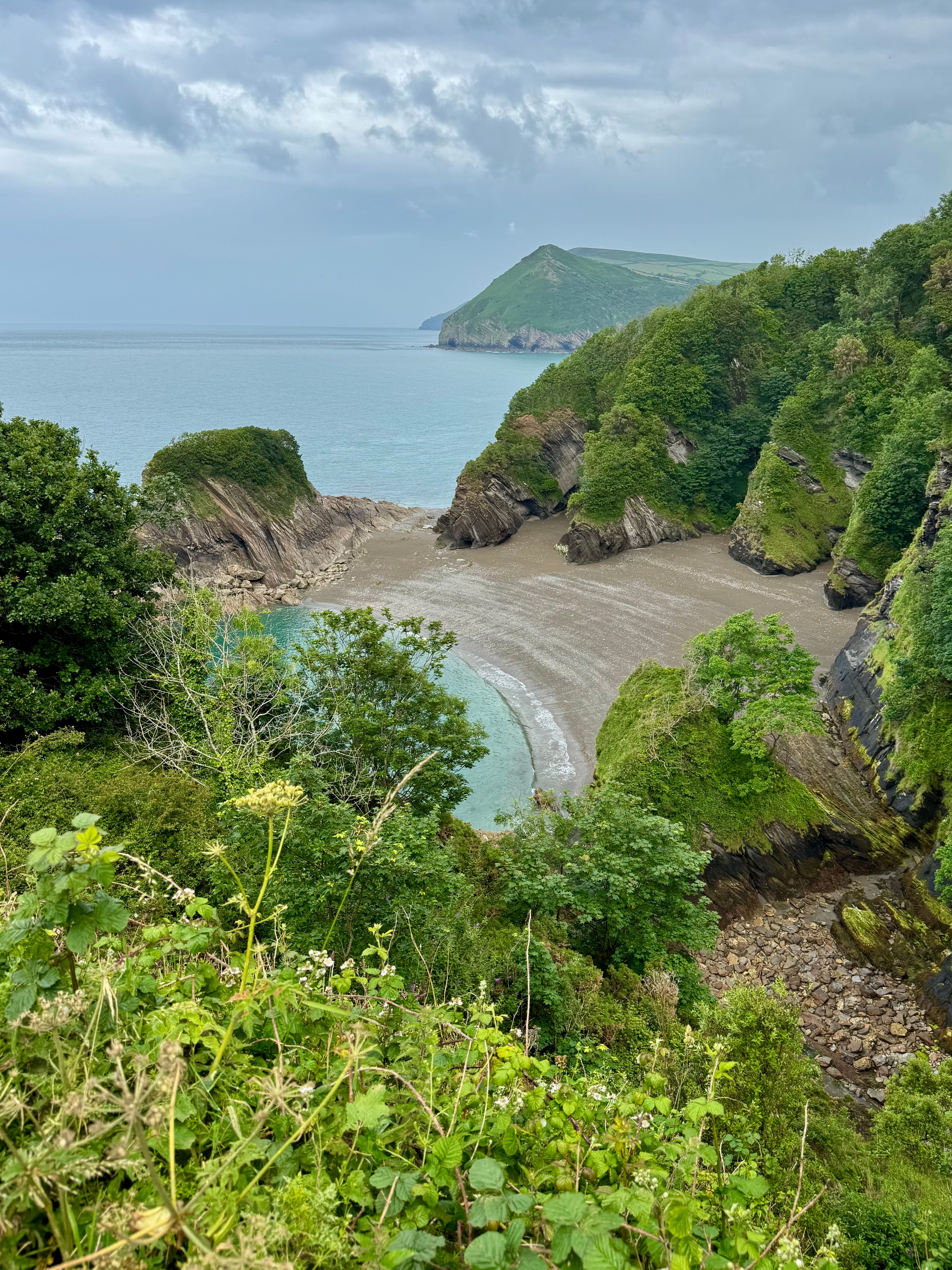 Stunning Coastal Cove with Lush Greenery and Cliffs · Free Stock Photo